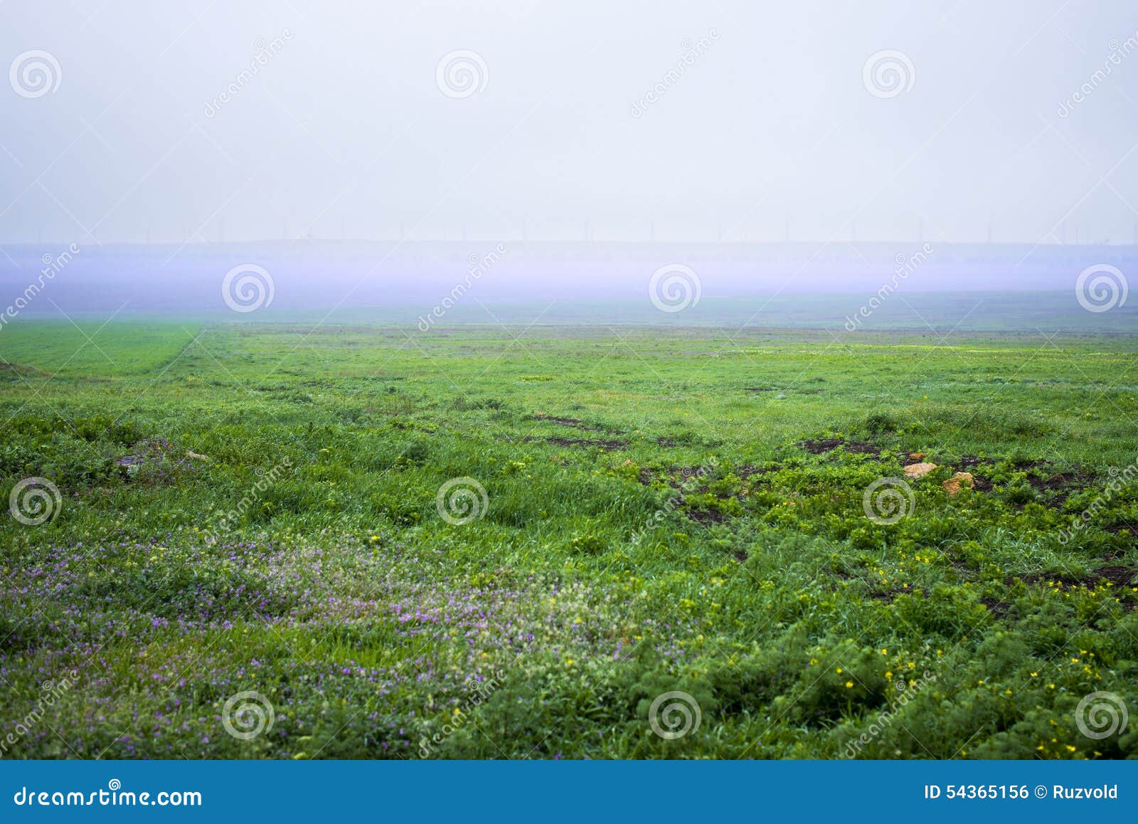 Foggy spring landscape stock photo. Image of daylight - 54365156