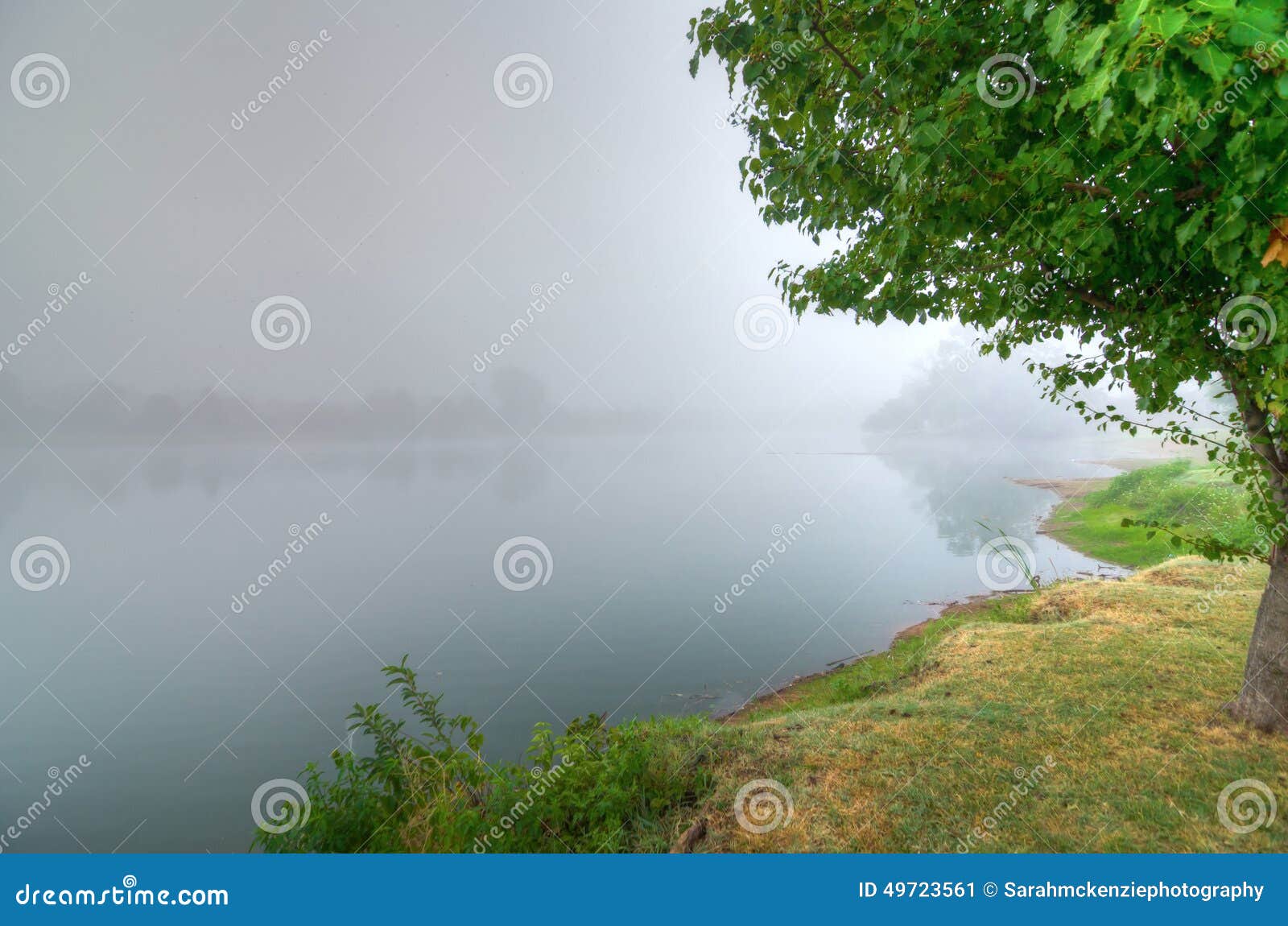 Foggy Spring Morning stock image. Image of morning, covered - 49723561