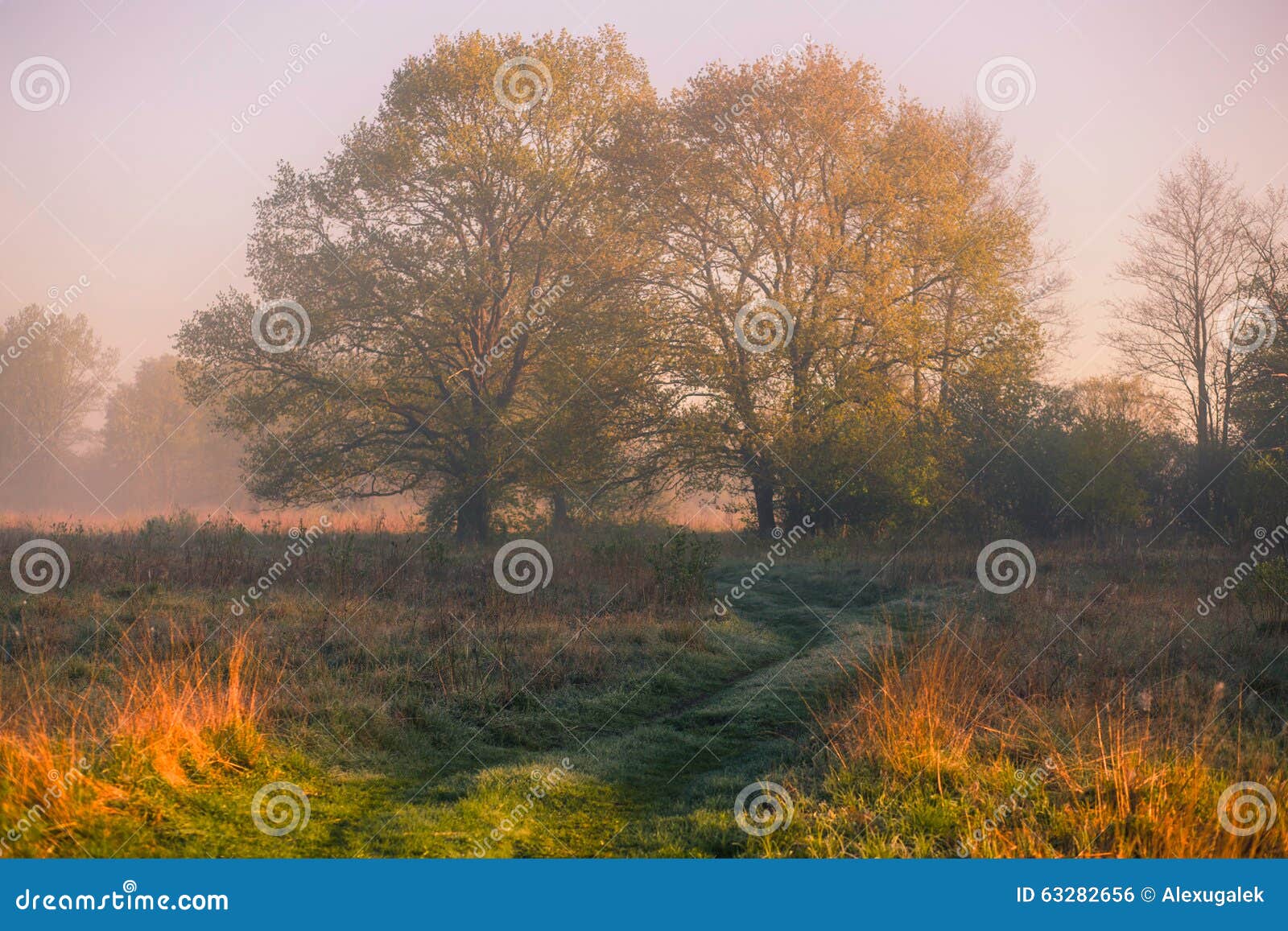 Road to spring stock photo. Image of foggy, nature, river - 63282656