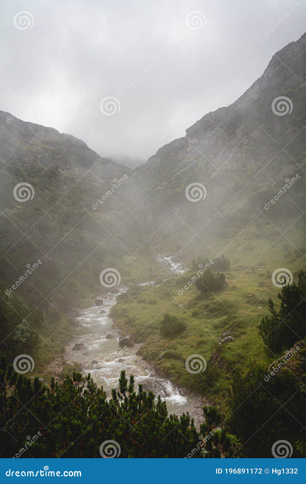 A foggy stream in the alps stock photo. Image of alps - 196891172
