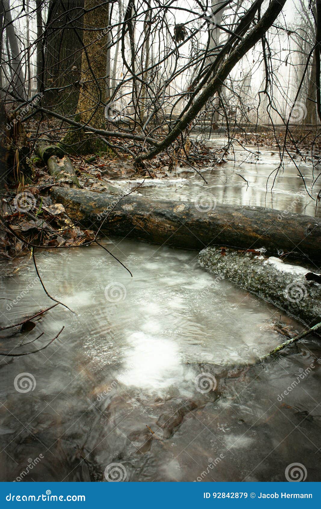 Foggy stream. stock image. Image of water, foggy, stream - 92842879