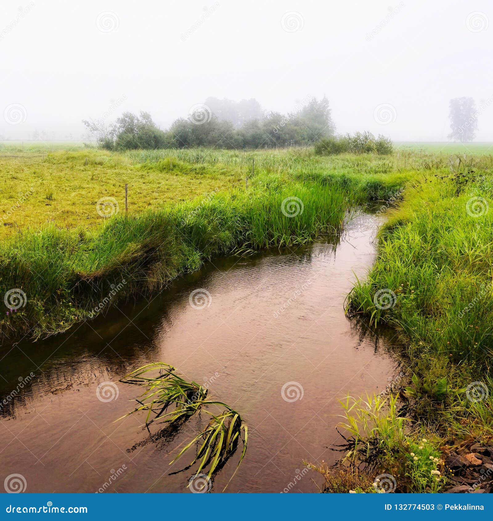 Small river between fields stock image. Image of farming - 132774503