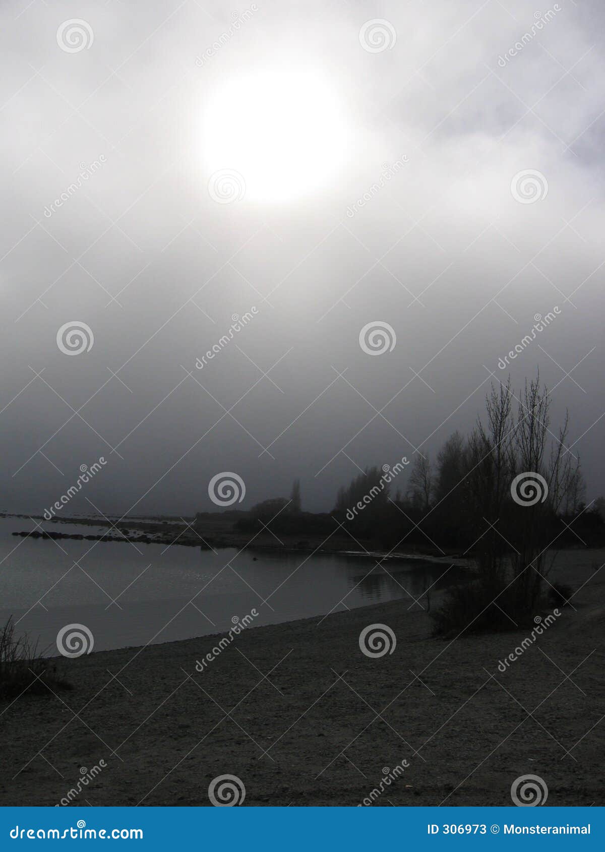 Foggy Sun Picture. Image: 306973