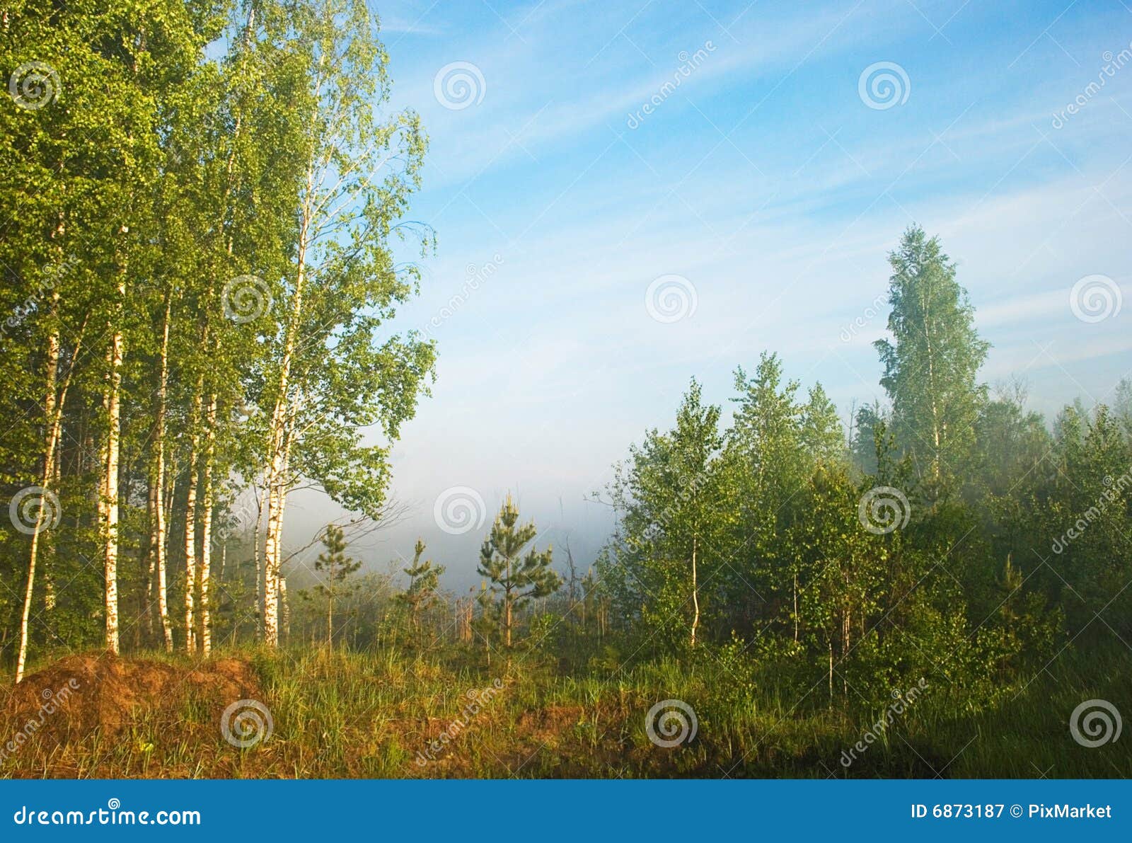 Foggy & sunny day stock image. Image of light, sunlight - 6873187
