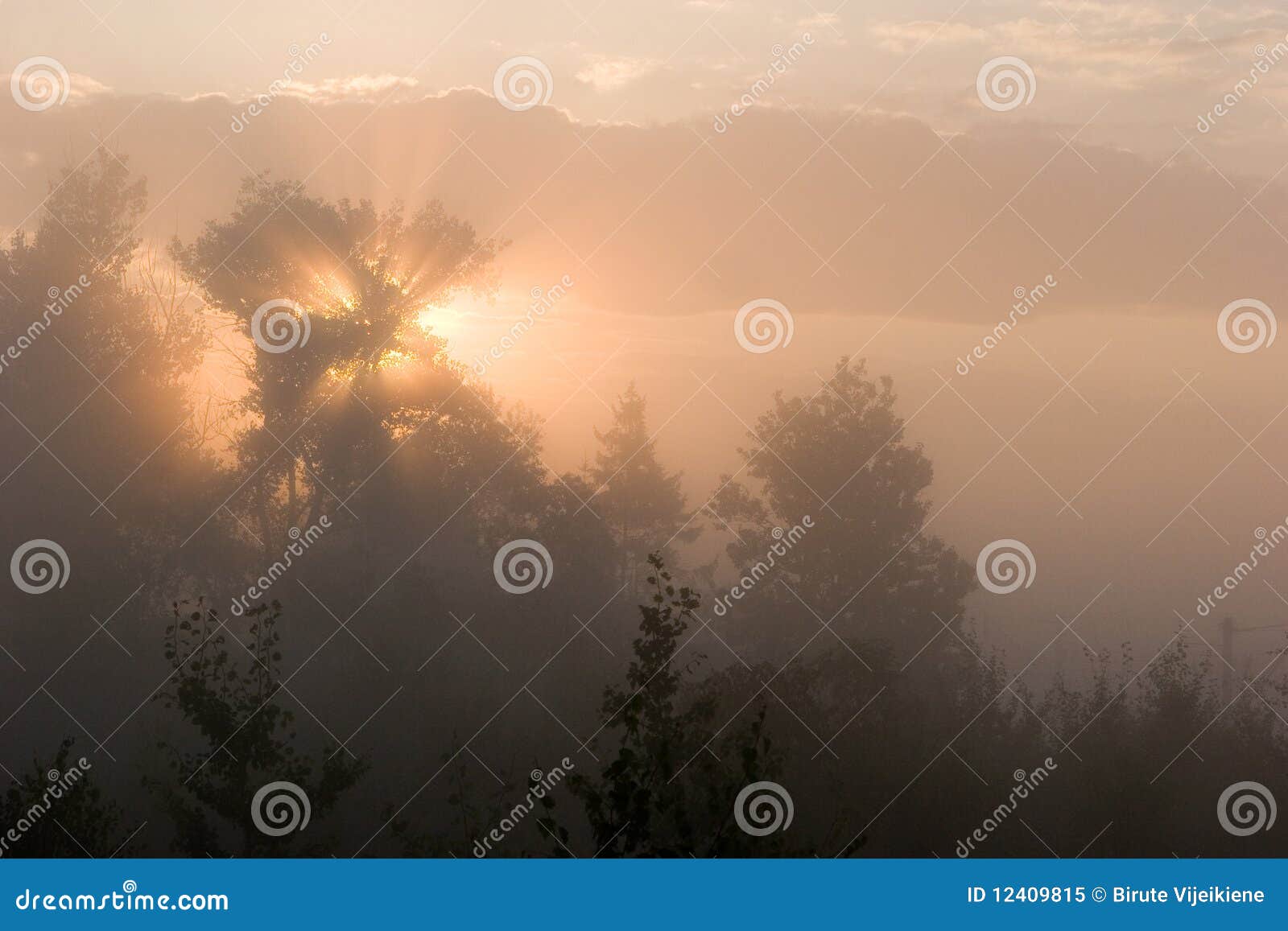 Foggy sunrise stock image. Image of cloud, sunrise, lithuania - 12409815