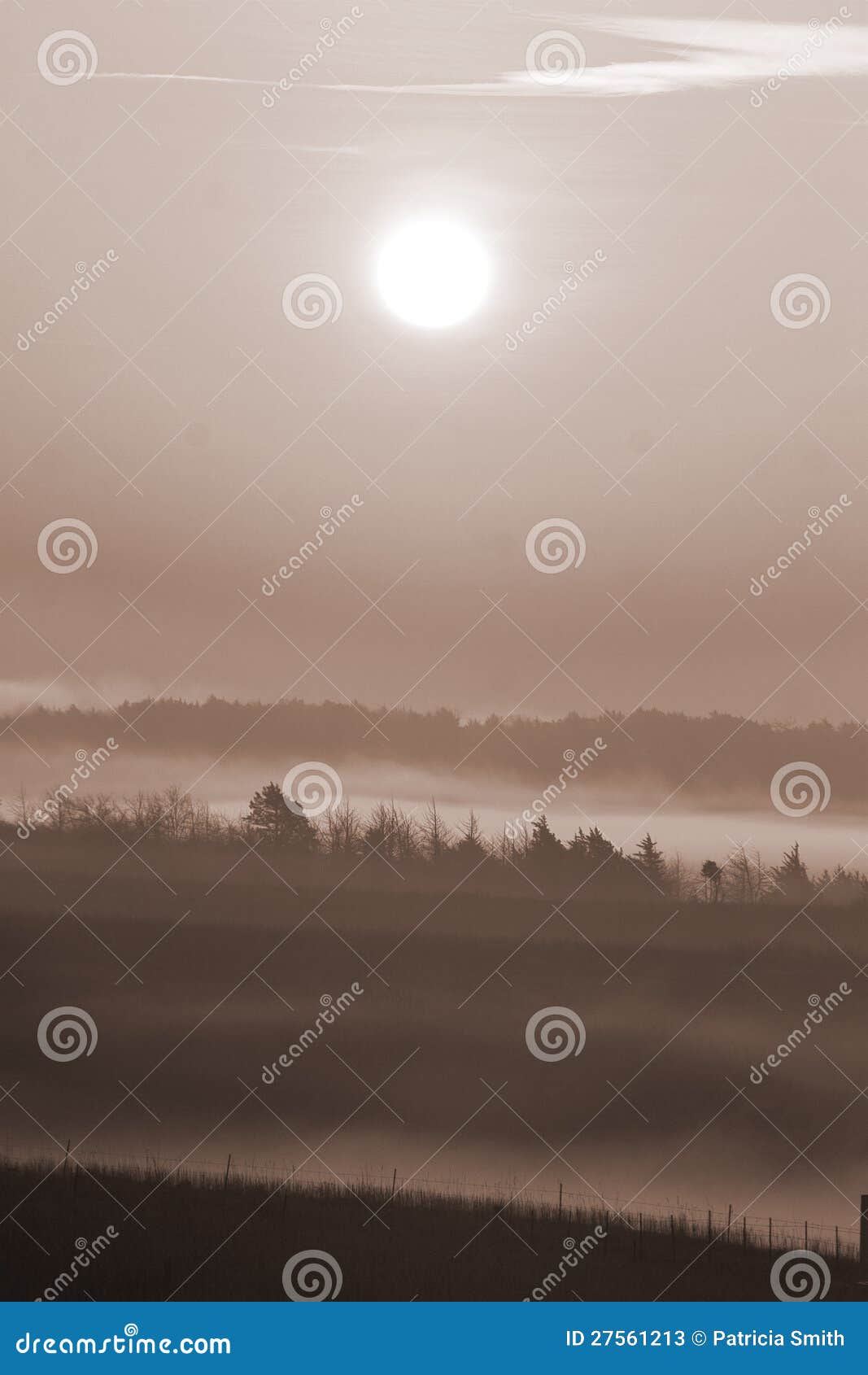 Foggy sunrise stock image. Image of foggy, pasture, nature - 27561213