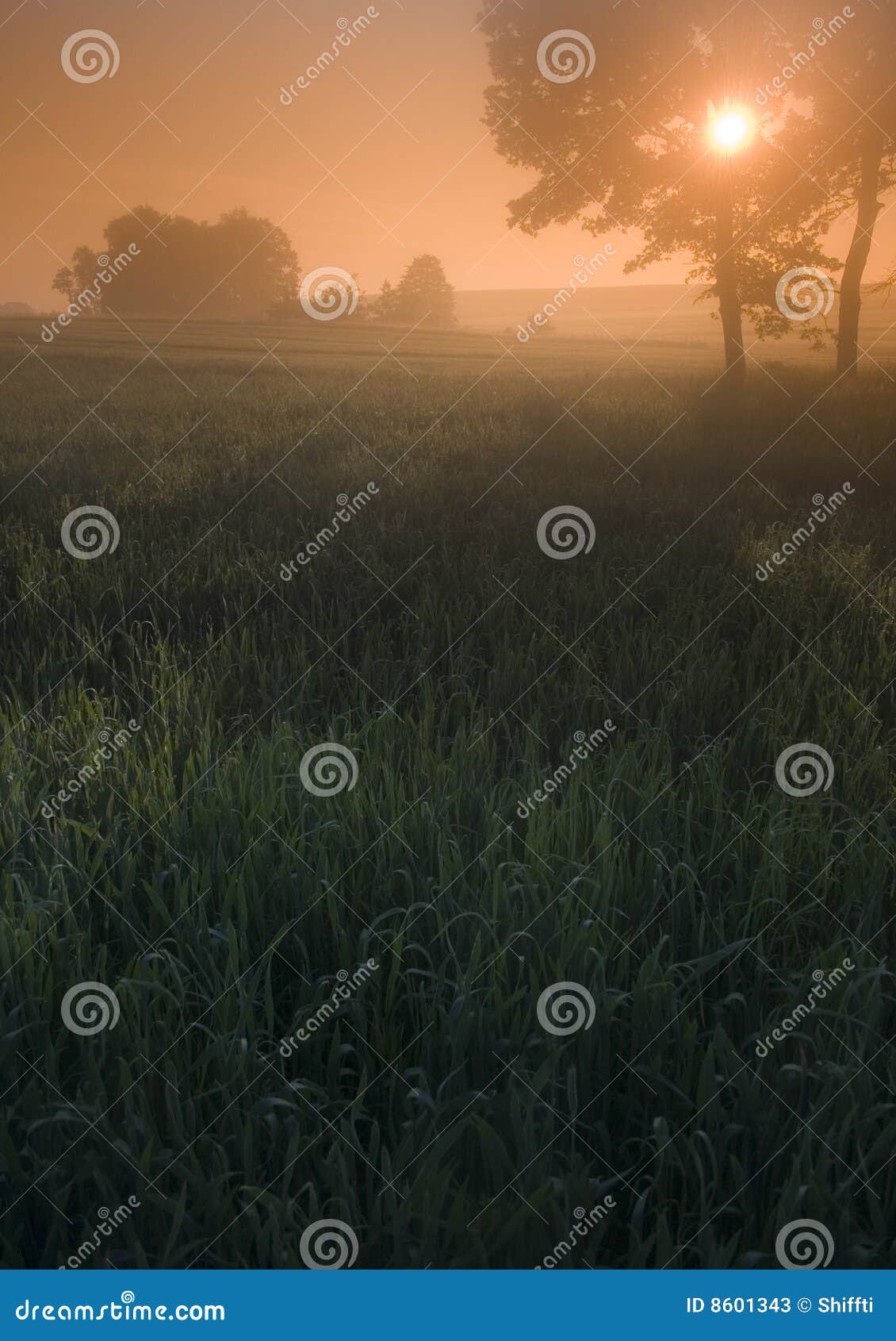 Foggy sunrise stock image. Image of simplicity, brown - 8601343