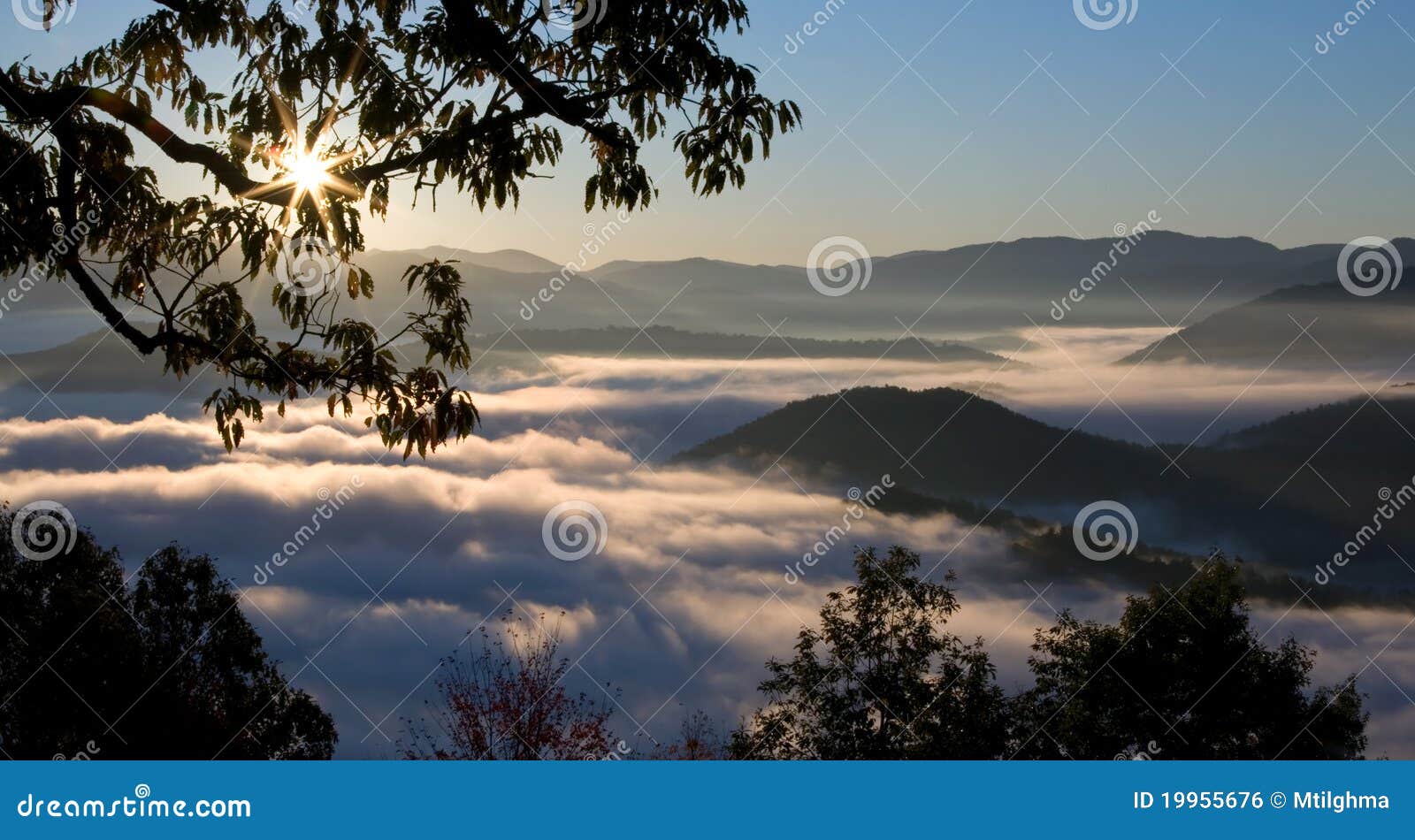 Foggy Sunrise in Great Smoky Mountains Stock Photo - Image of foggy ...