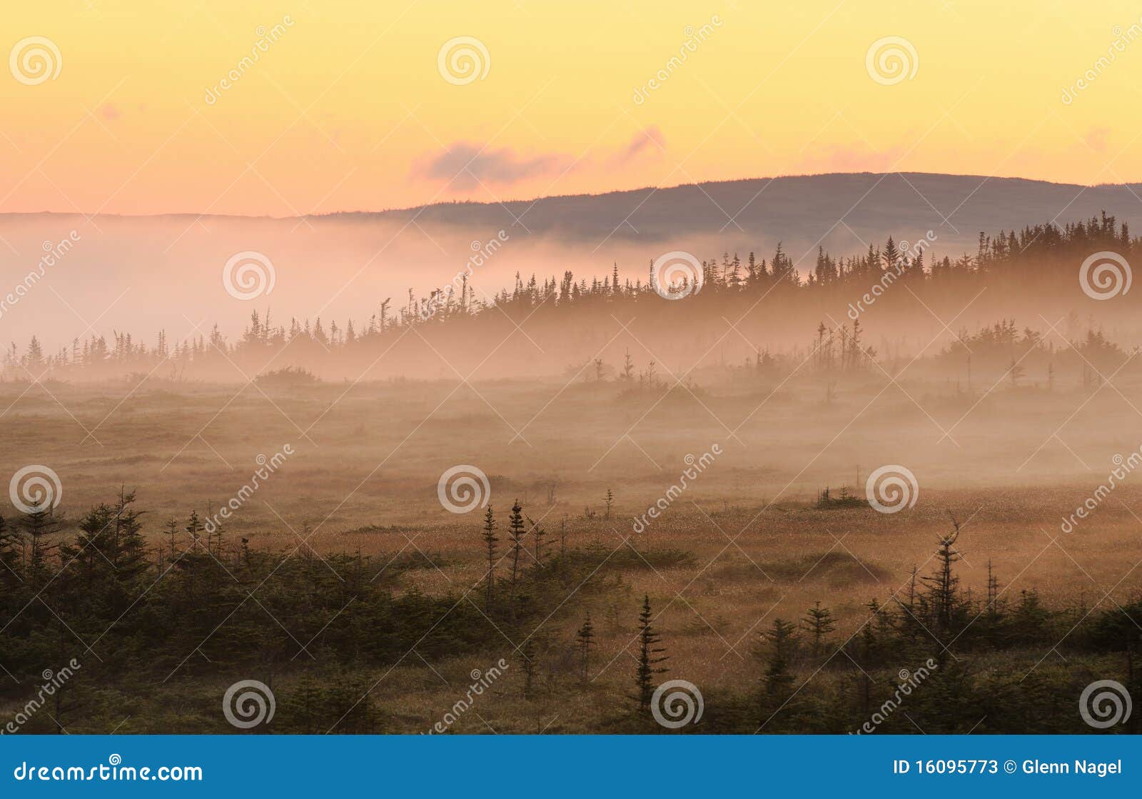 Foggy sunrise landscape stock image. Image of nature - 16095773