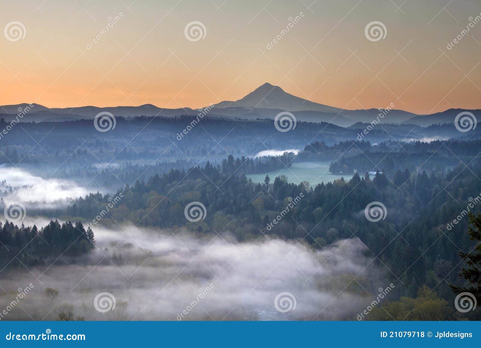 Foggy Sunrise Illuminates The Road Among Trees Stock Photography ... Foggy Sunrise Illuminates The Road Among Trees Stock Photography ...