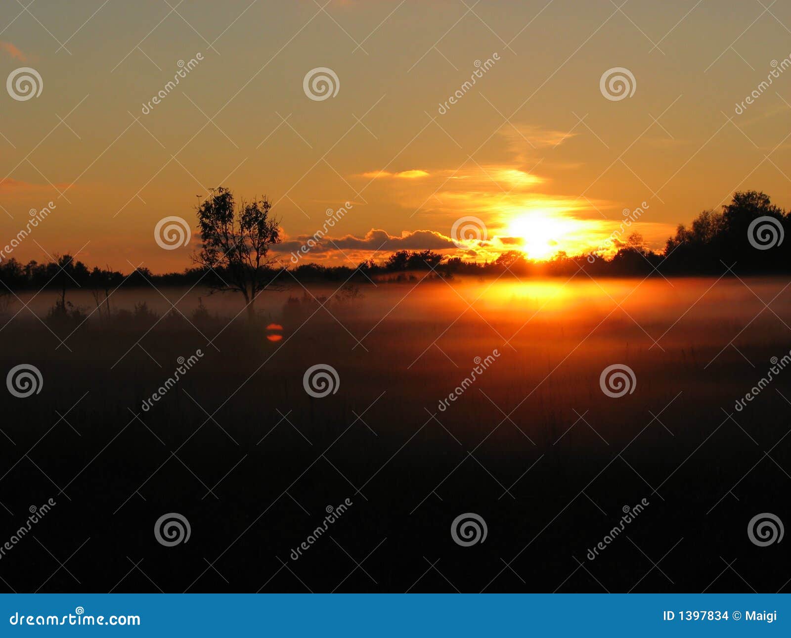 Foggy sunset stock photo. Image of landscape, scenery - 1397834