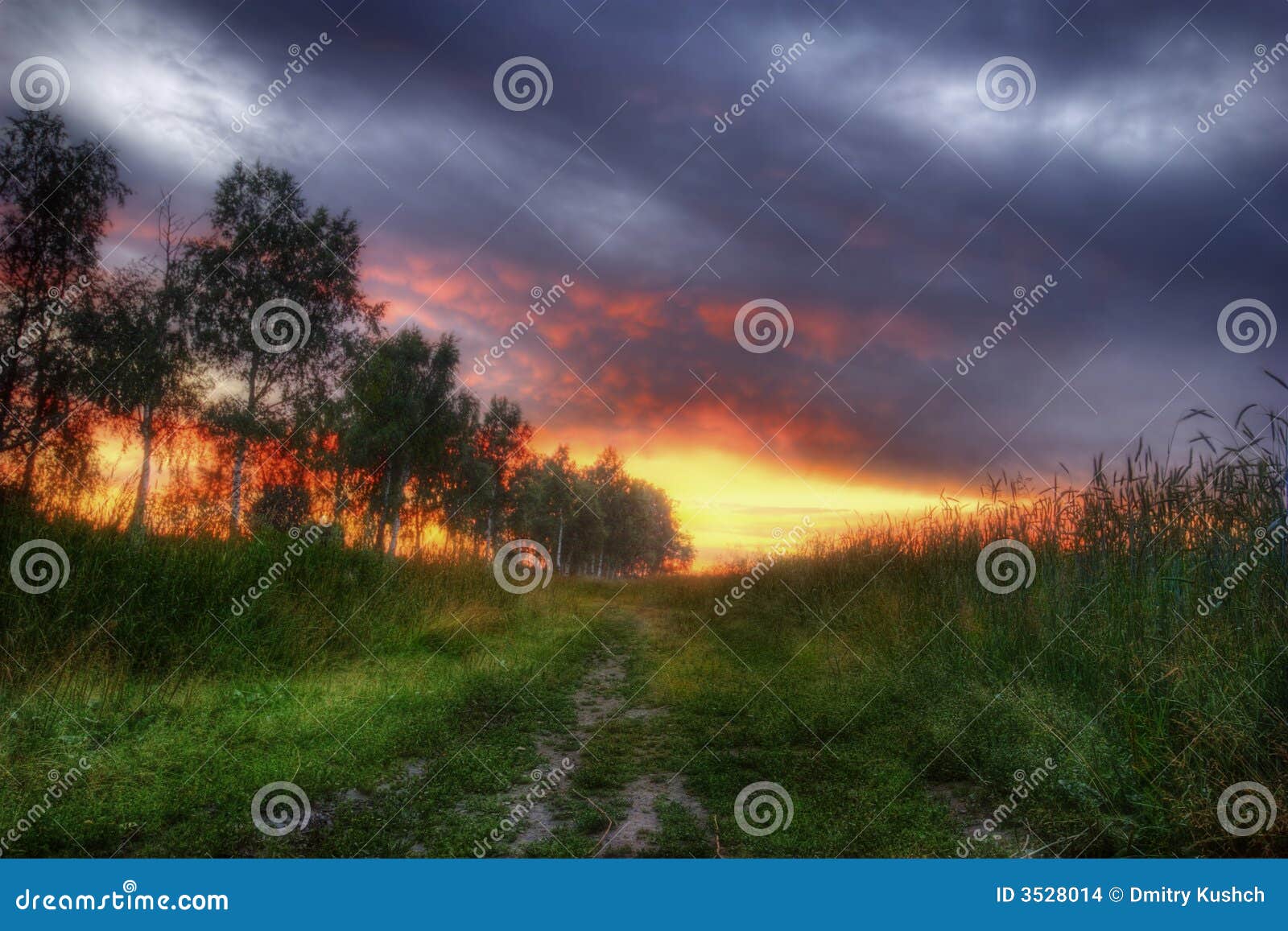 Foggy sunset stock photo. Image of cold, reflected, clouds - 3528014