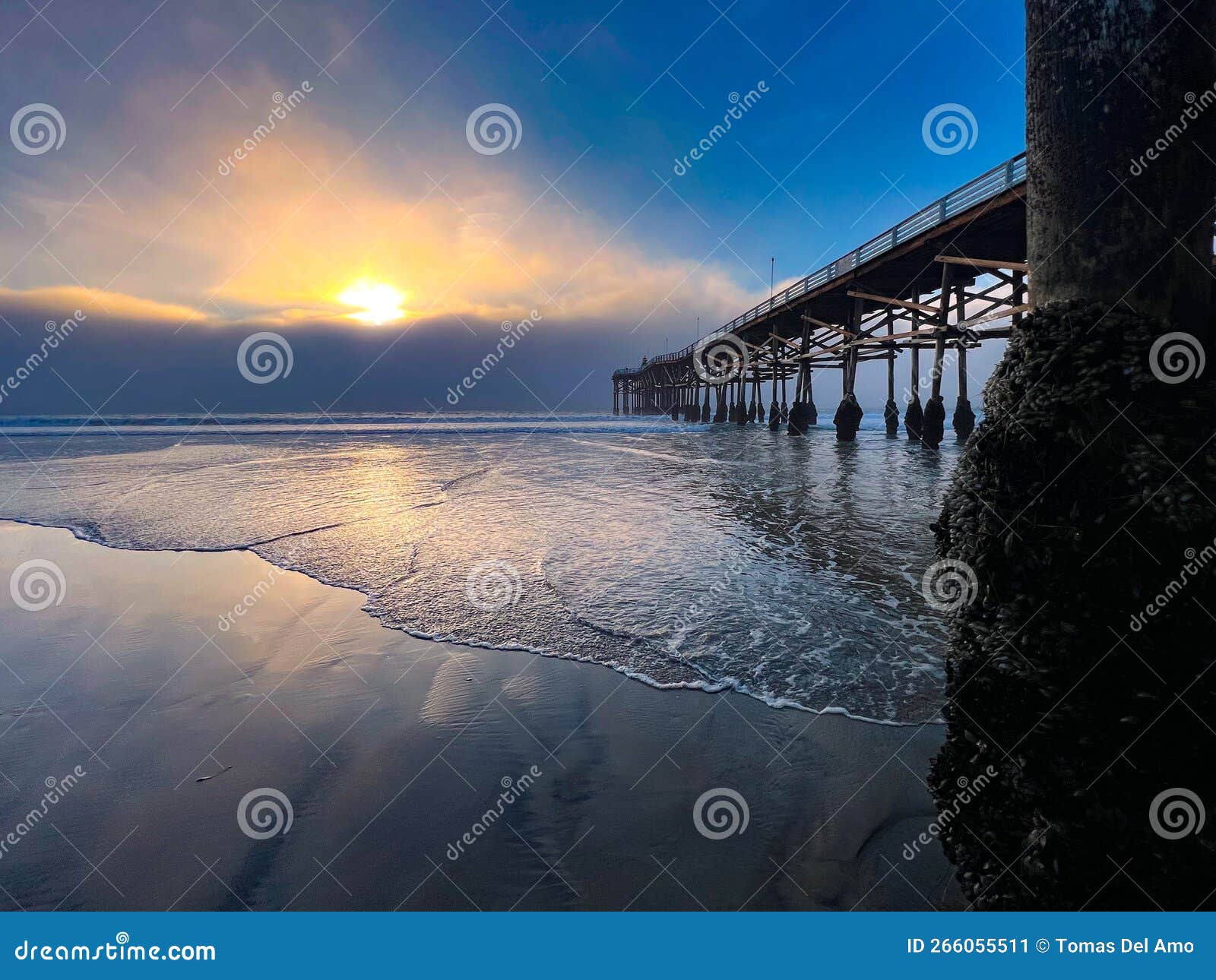 Foggy sunset on the coast stock image. Image of tide - 266055511