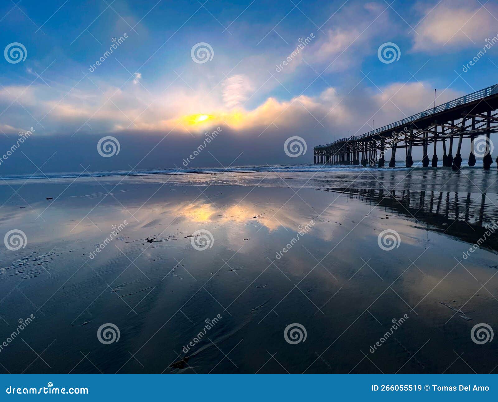 Foggy sunset on the coast stock image. Image of coastal - 266055519