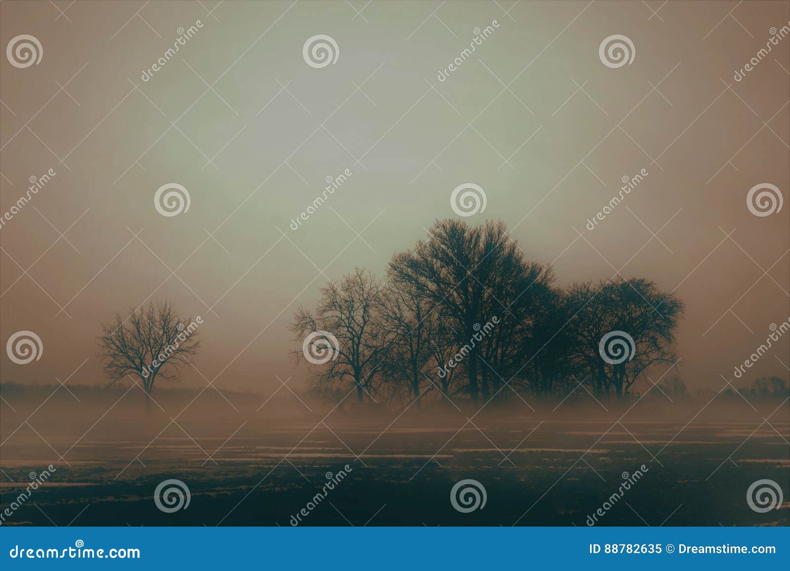 Foggy Treeline stock image. Image of earth, black, foggy - 88782635