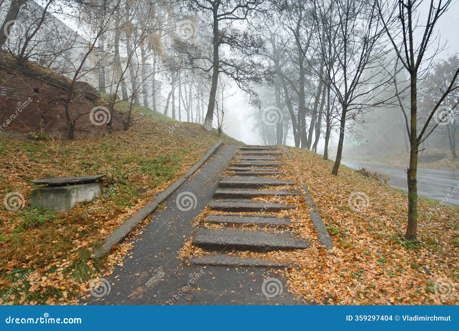 Foggy Walkway with Stone Steps and Fallen Leaves Stock Photo - Image of ...
