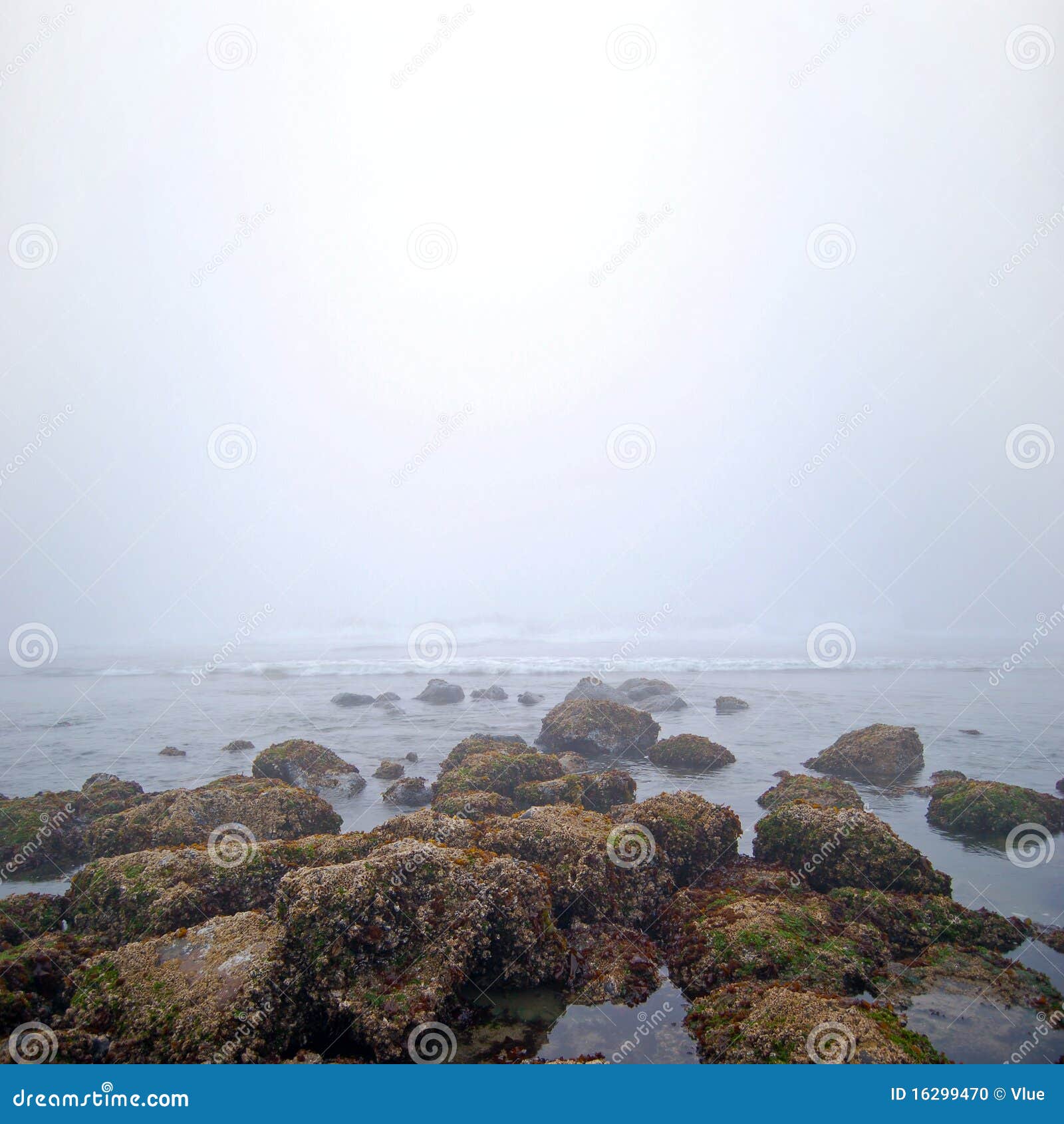 Foggy white sea rocks stock photo. Image of atmosphere - 16299470