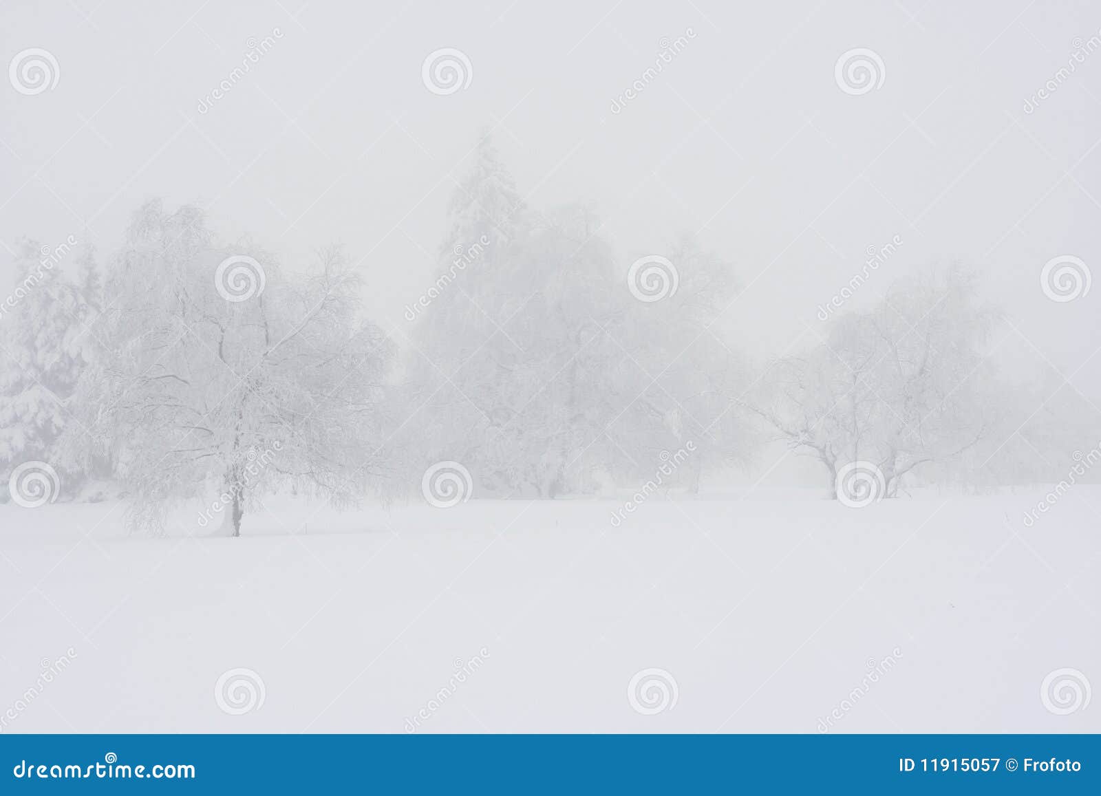 Foggy winter landscape stock image. Image of landscape - 11915057