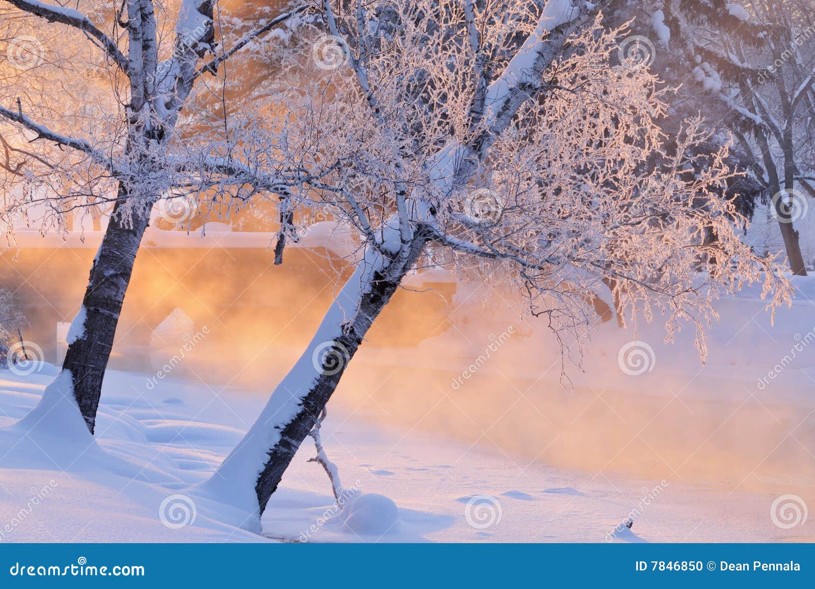 Foggy Winter Lake Inlet With Green Algae Royalty-Free Stock Photography ...