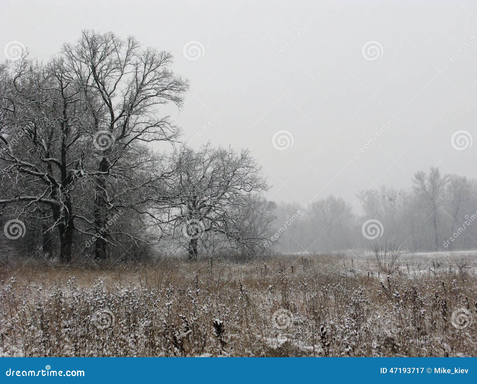 Foggy winter landscape stock image. Image of nature, season - 47193717
