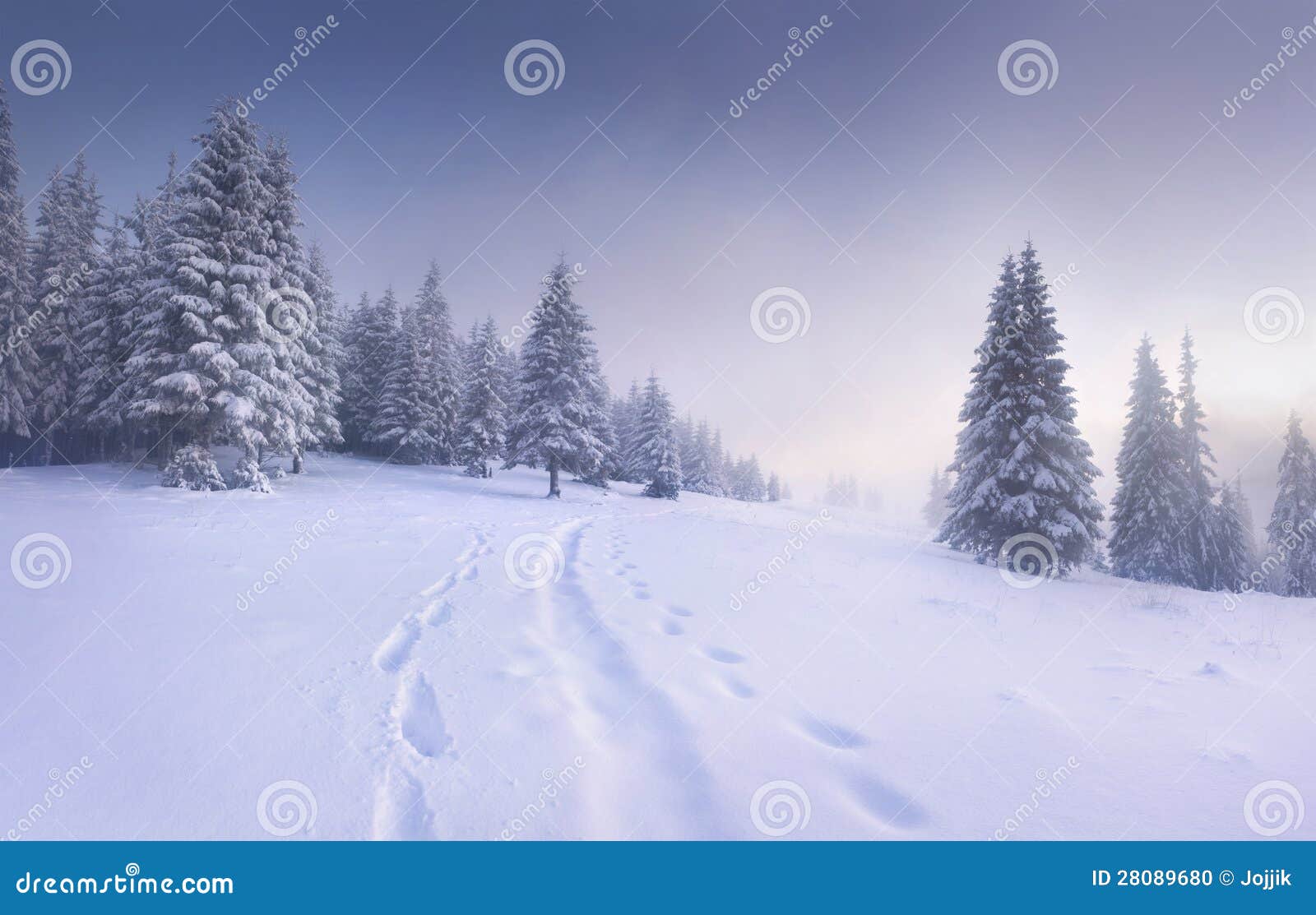 Foggy winter morning stock photo. Image of illumination - 28089680