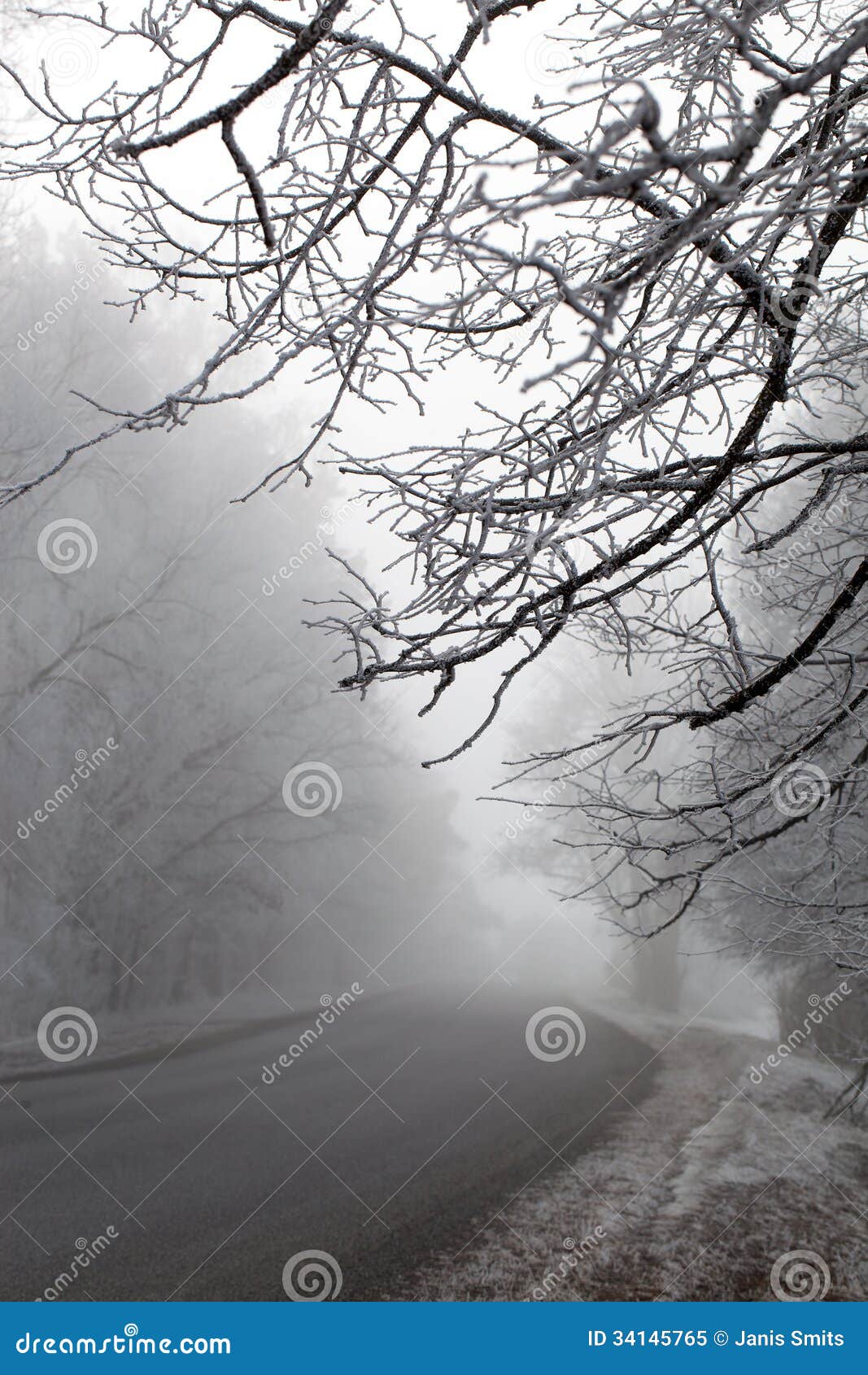 Foggy winter morning. stock image. Image of asphalt, frozen - 34145765