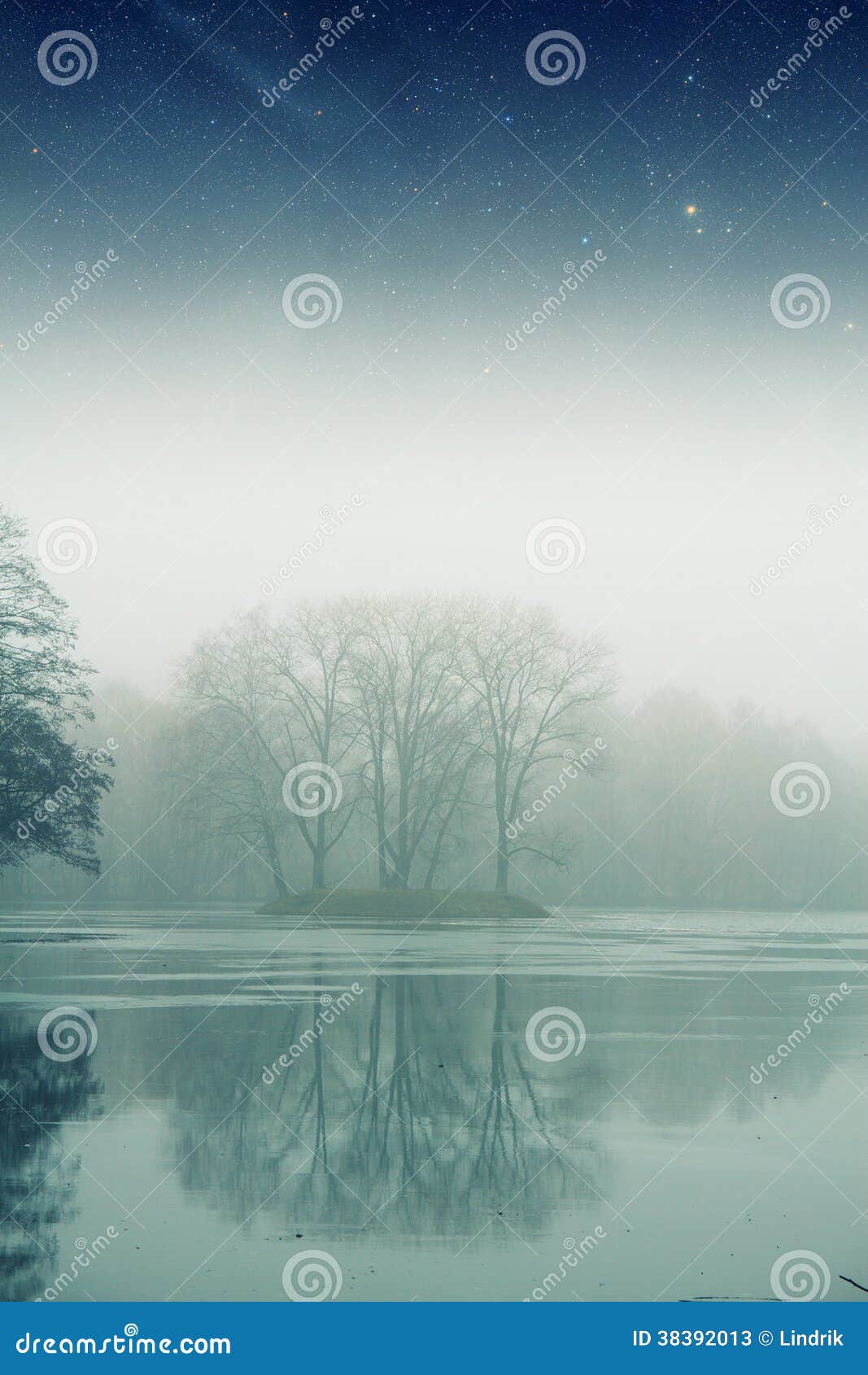 Foggy winter morning. stock image. Image of hoar, nature - 38392013