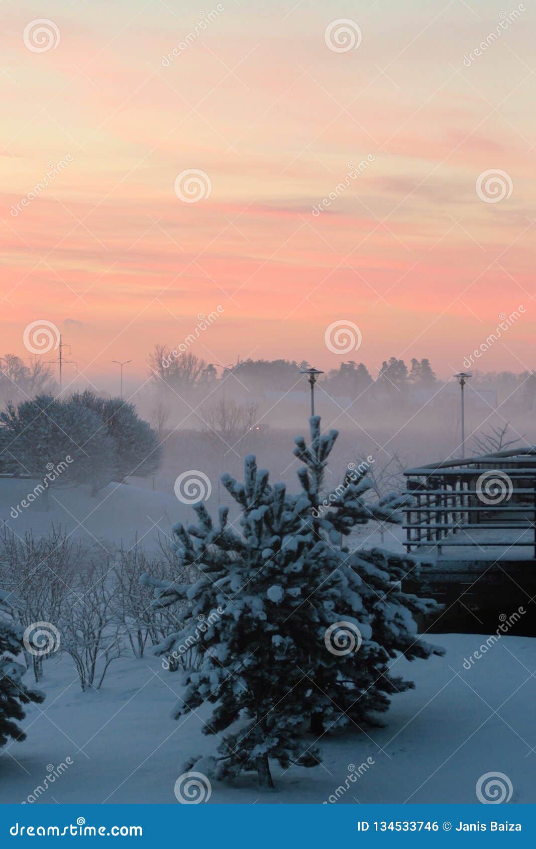 Foggy Winter Morning with a Tree Stock Photo - Image of orange, clouds ...
