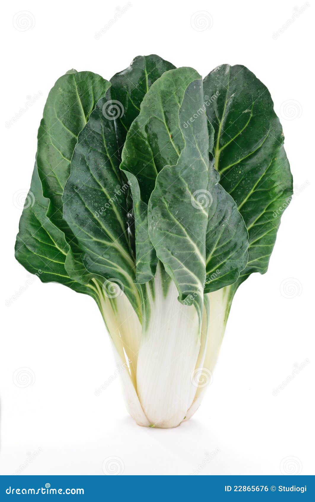 Fogli Delle Bietole Da Coste Fotografia Stock - Immagine di cottura ...