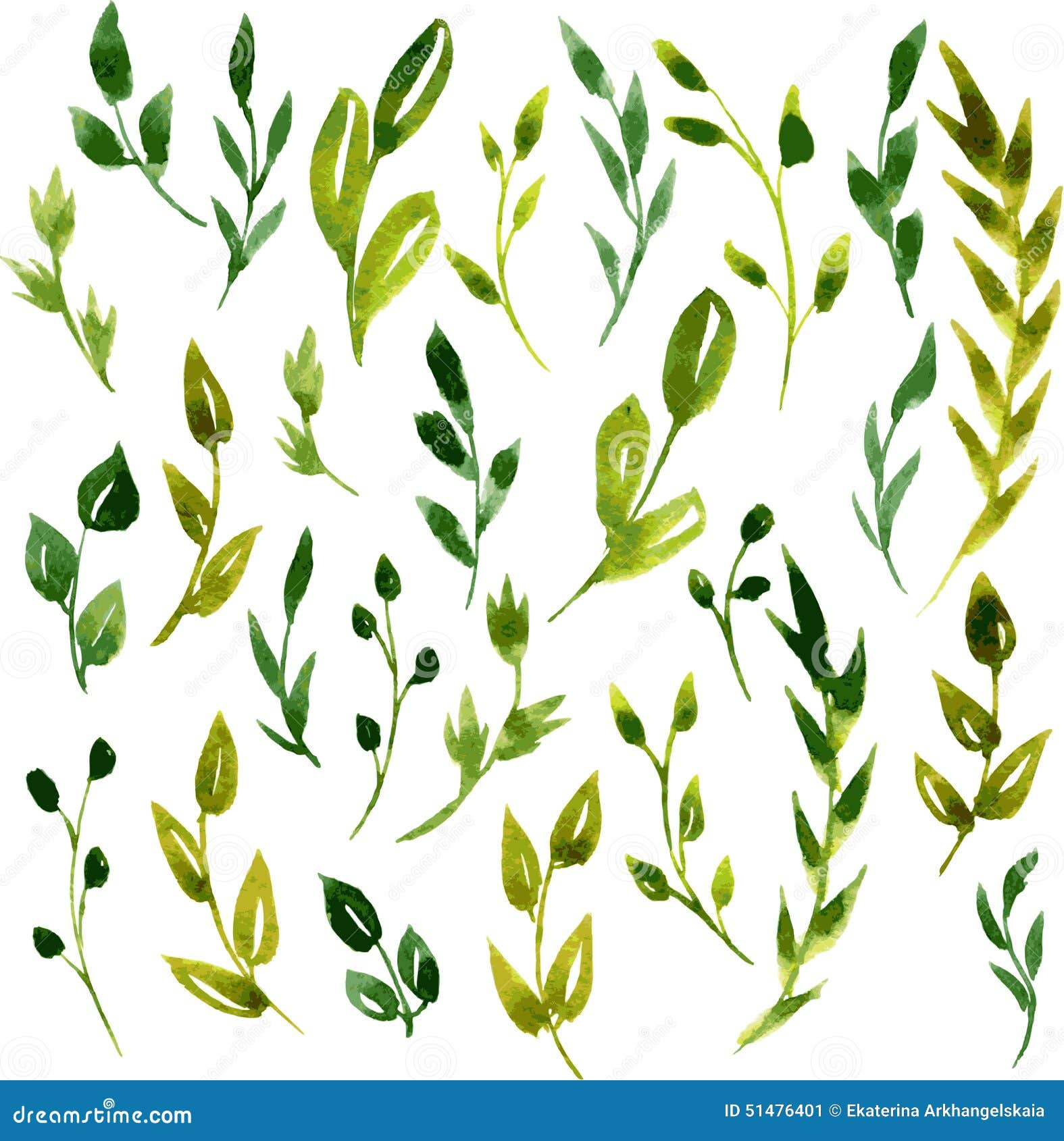 Foglie Verdi E Rami Dell'acquerello Di Vettore Illustrazione Vettoriale ...