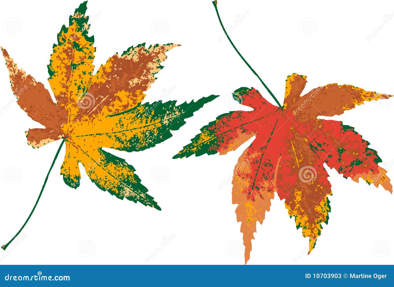 Foglio Colorato Dell'autunno. Illustrazione Vettoriale - Illustrazione ...