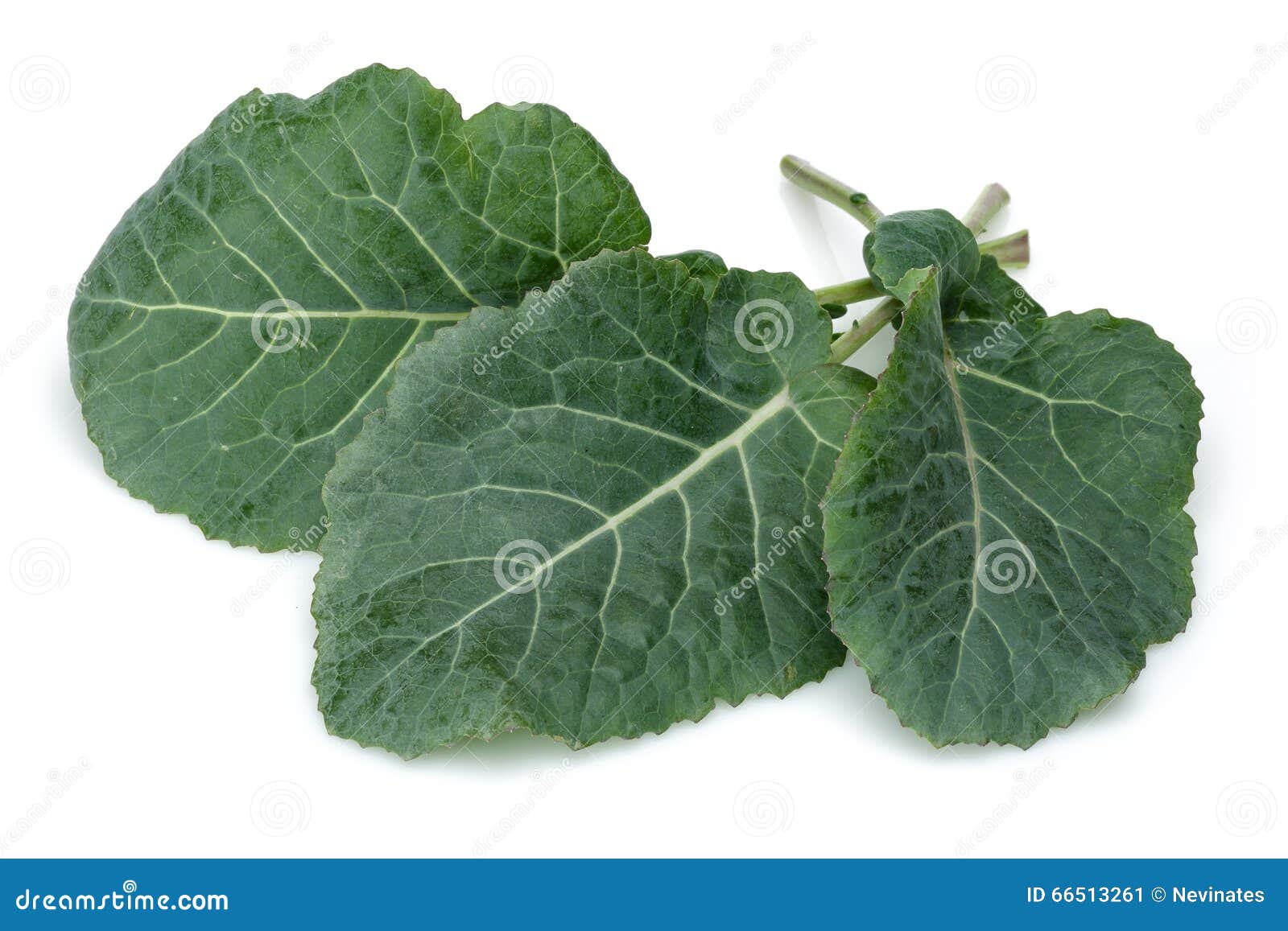 Foglio Fresco Del Cavolo Verde Immagine Stock - Immagine di cucina ...