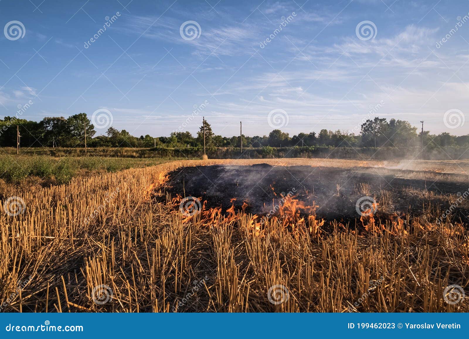 Fogo, Pessoas Queimando Erva Velha No Campo Imagem de Stock - Imagem de ...