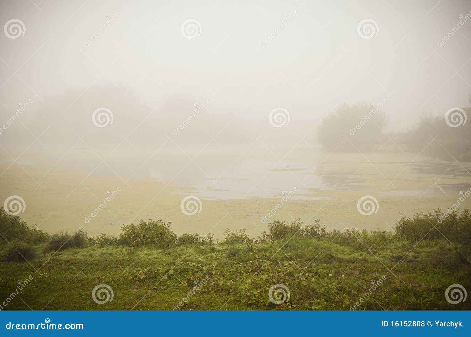 Fogy lake landscape stock photo. Image of landscape, field - 16152808