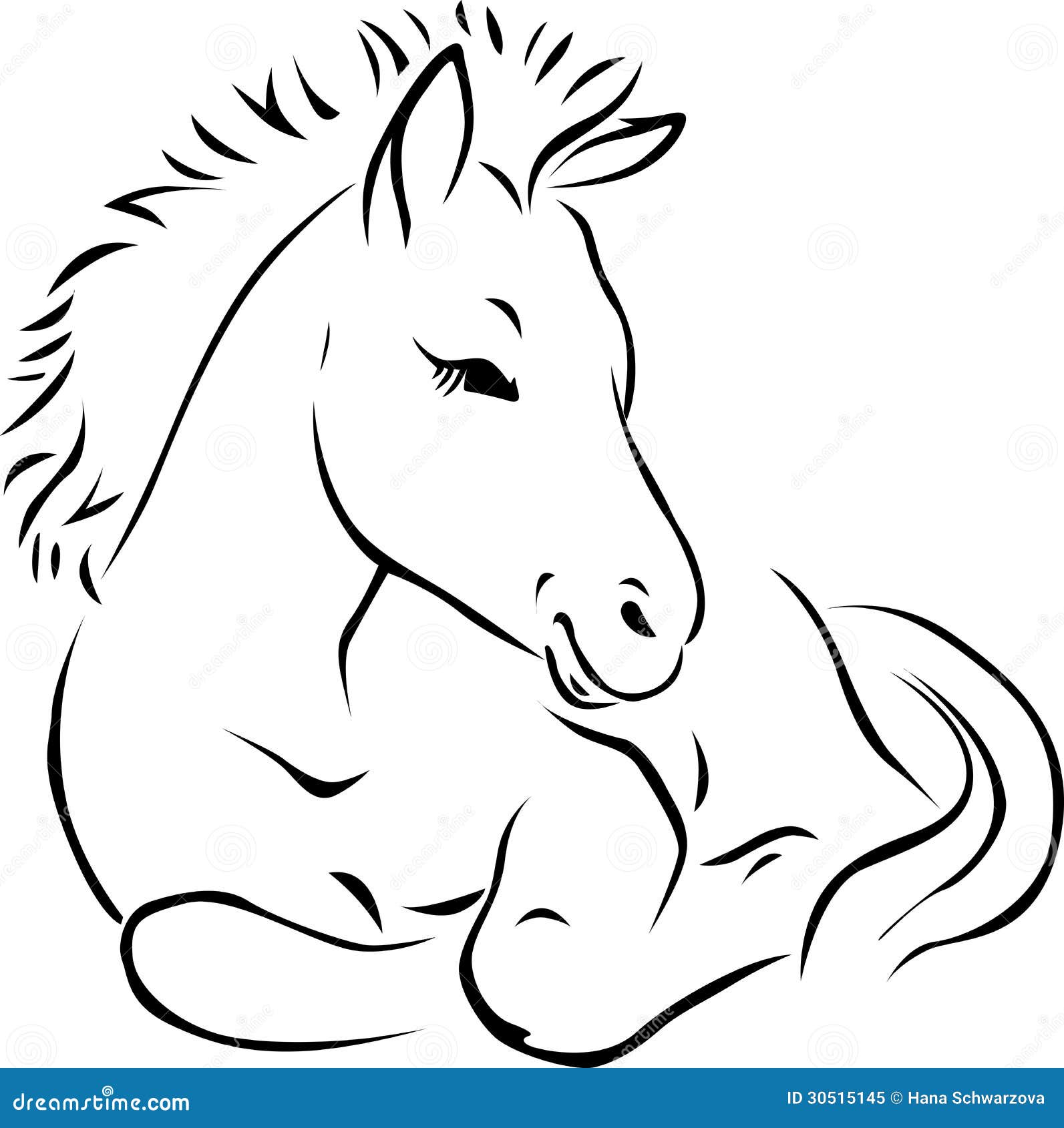 Fohlen - Schwarze Entwurfsillustration Vektor Abbildung - Illustration ...