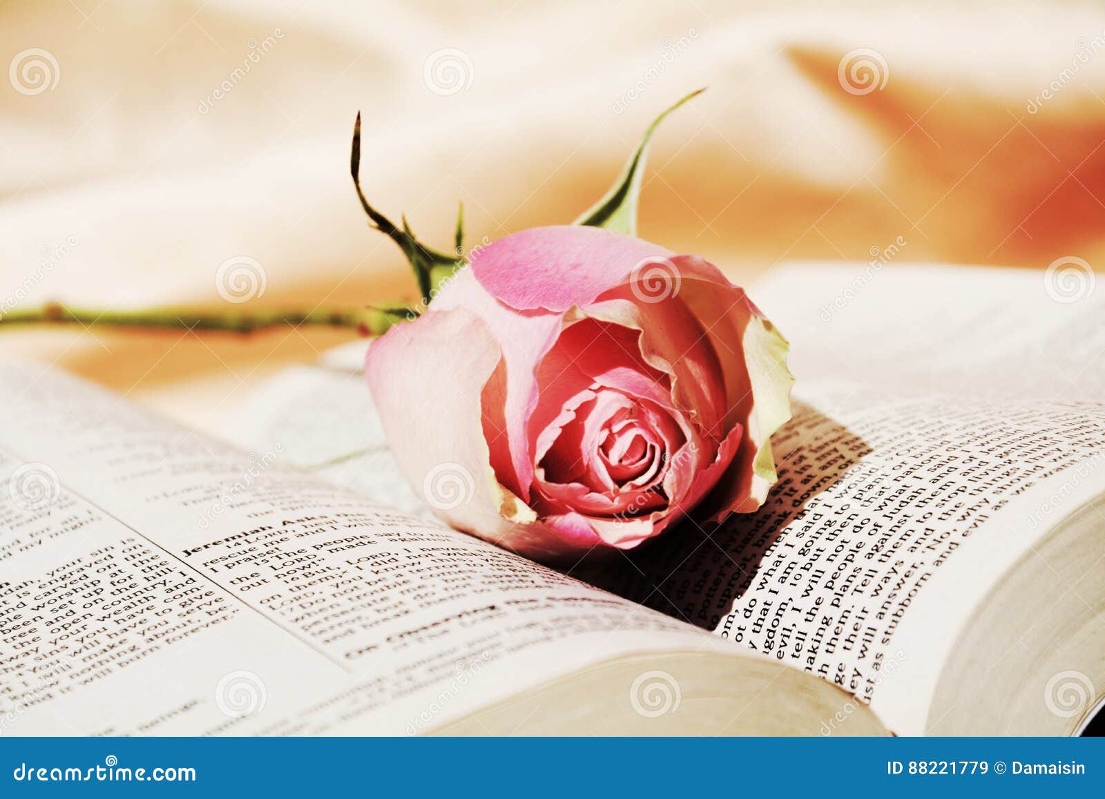 Foi image stock. Image du bible, célébration, tony, élégance - 88221779