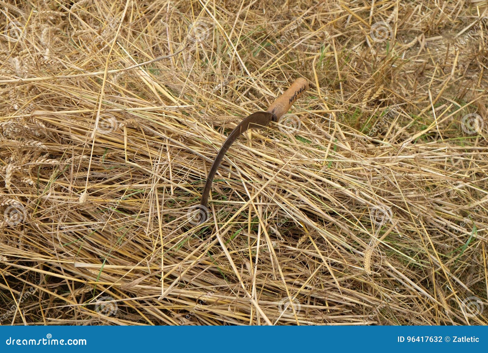 Foice e trigo foto de stock. Imagem de obsoleto, cortador - 96417632