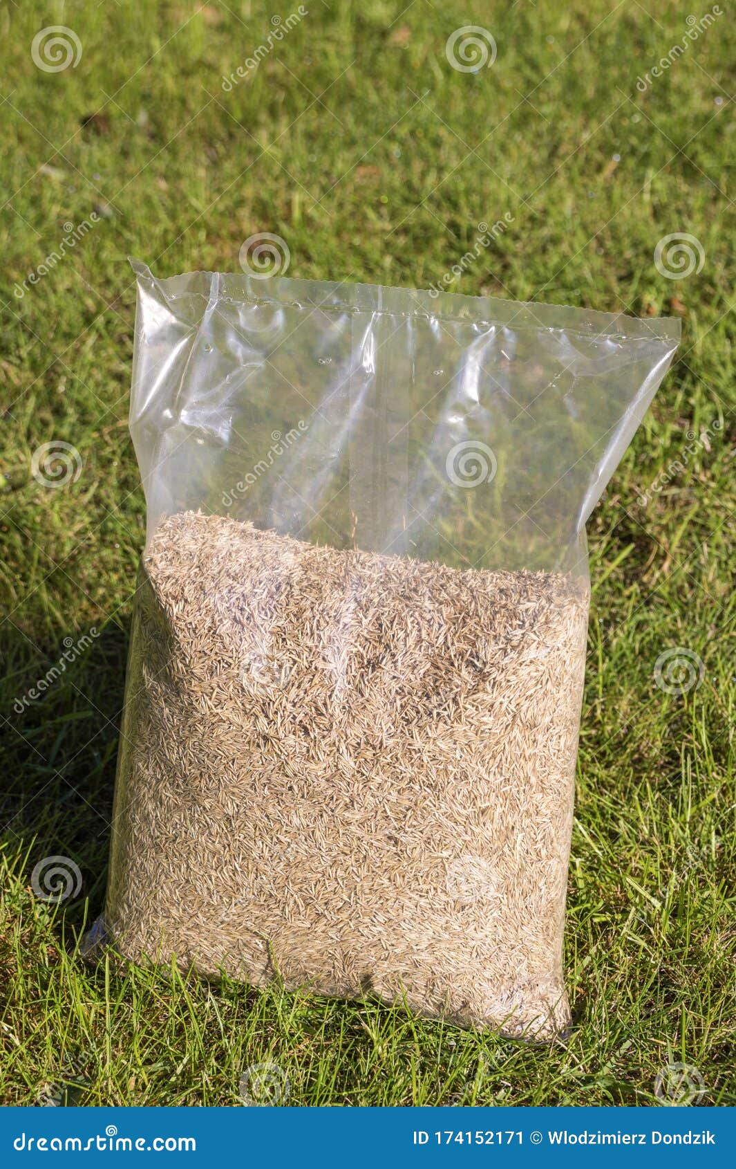 Foil Packaging with Grass Seeds. Sowing Grass, Setting Up a Lawn Stock ...