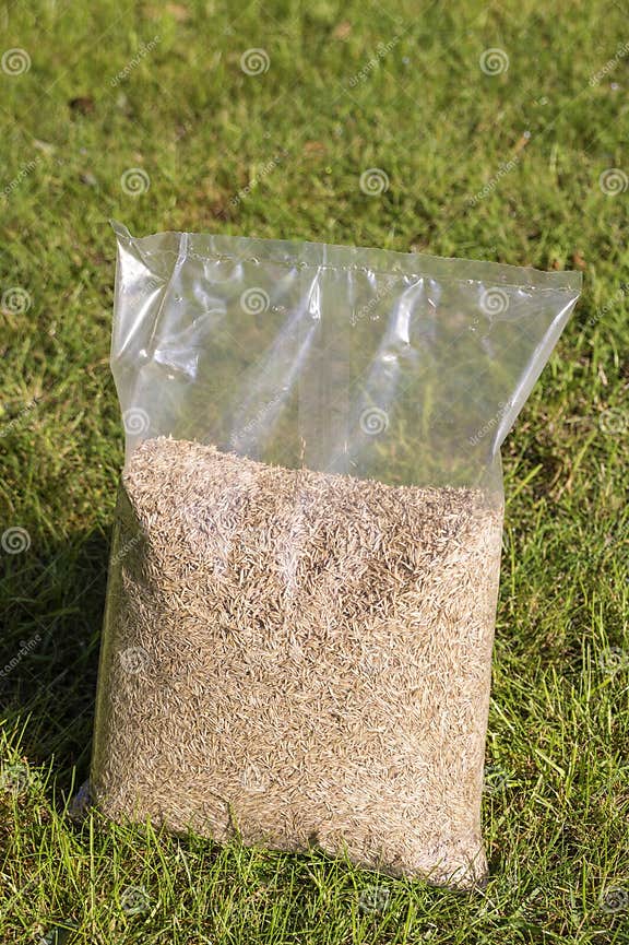 Foil Packaging with Grass Seeds. Sowing Grass, Setting Up a Lawn Stock ...