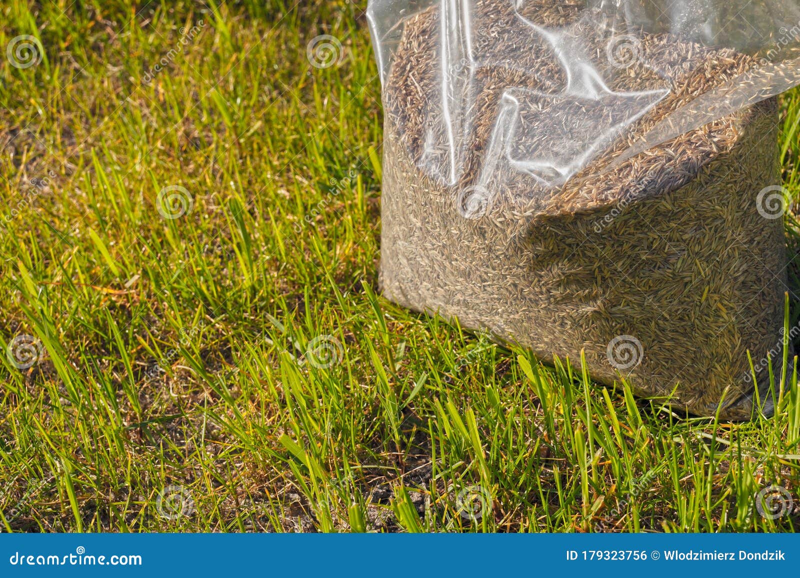 Foil Packaging with Grass Seeds. Sowing Grass, Setting Up a Lawn Stock ...