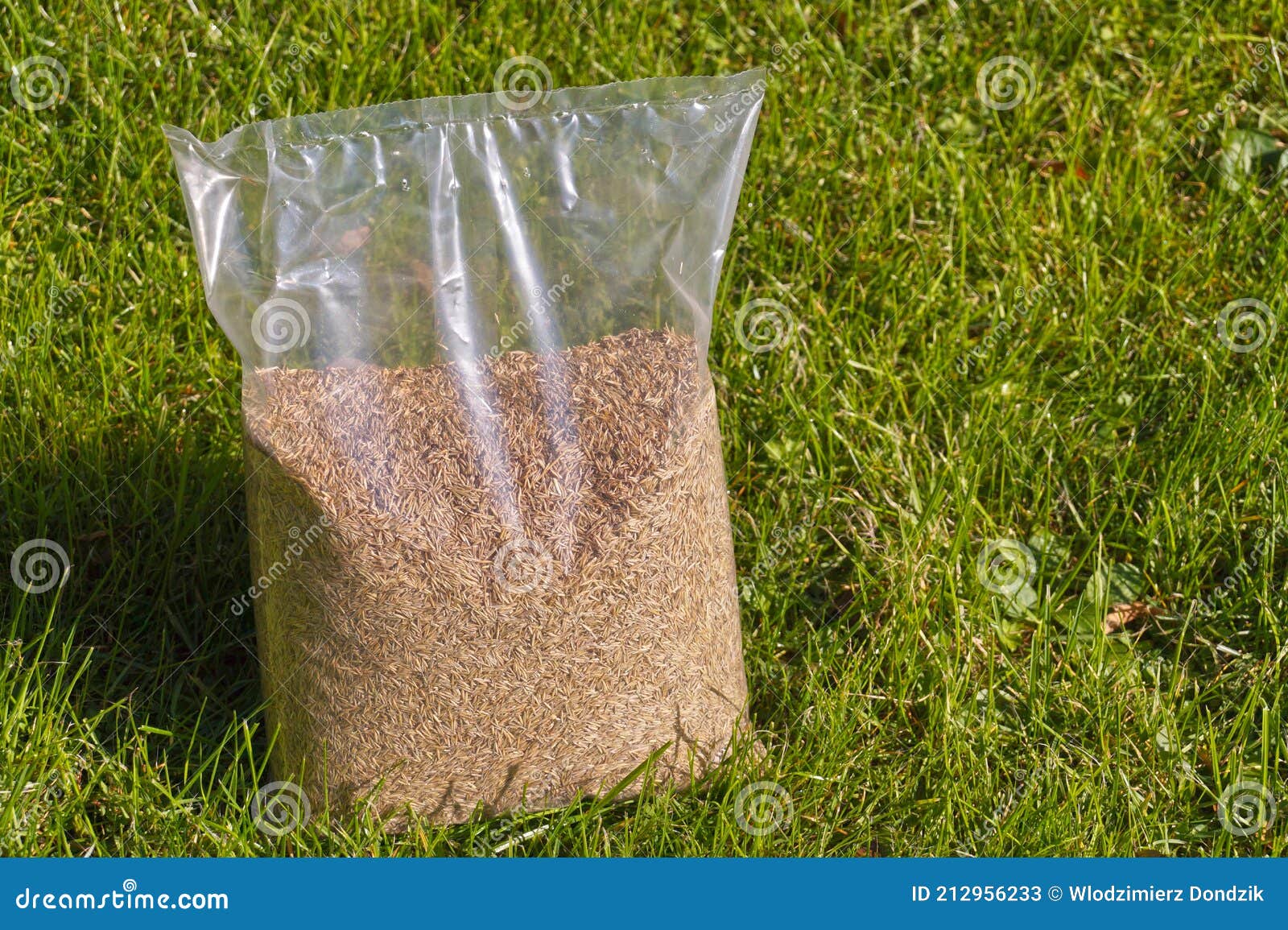 Foil Packaging with Grass Seeds. Sowing Grass, Setting Up a Lawn Stock ...