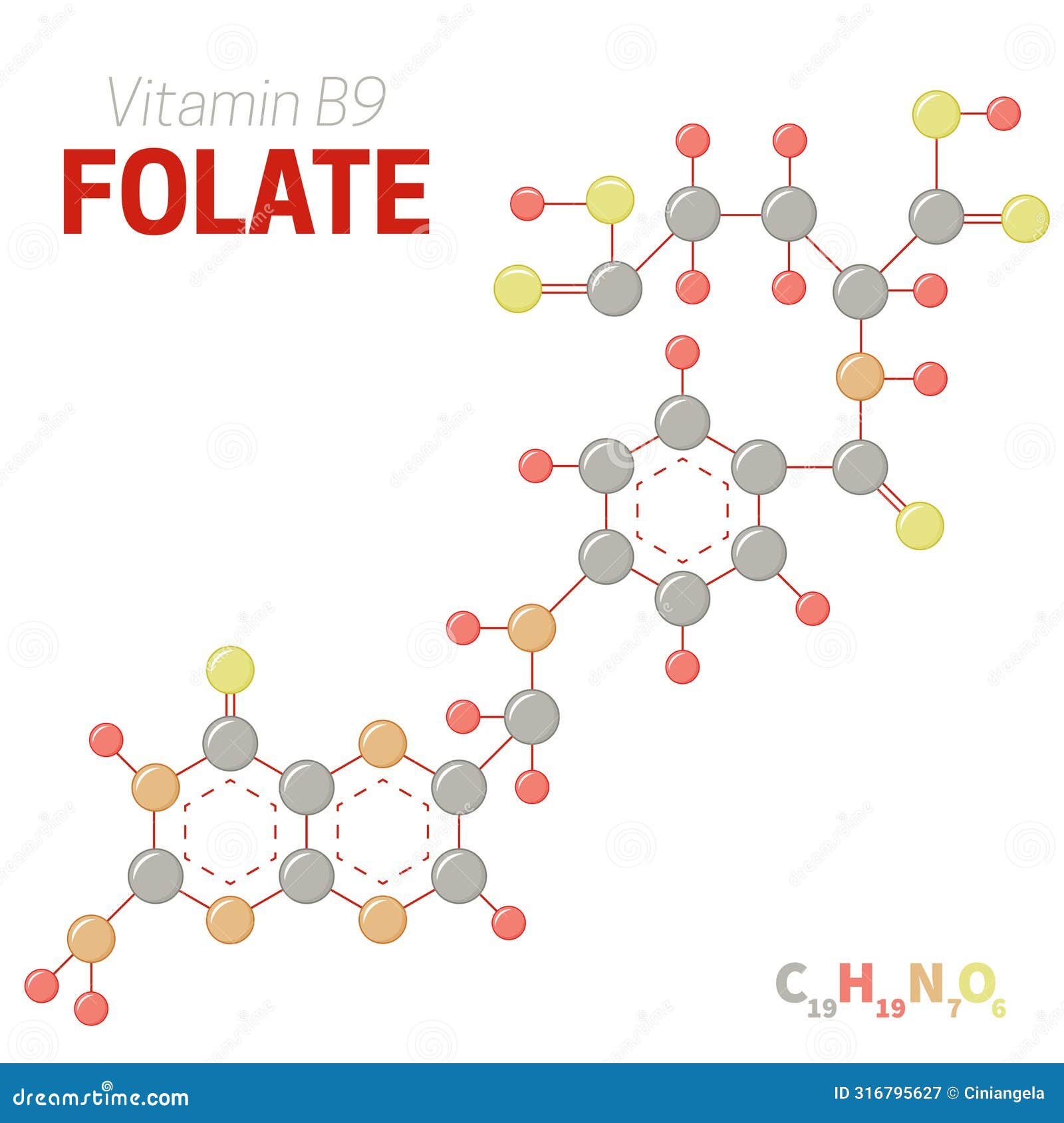 Folate Or Vitamin B9 Molecule Structure Formula Illustration Cartoon ...