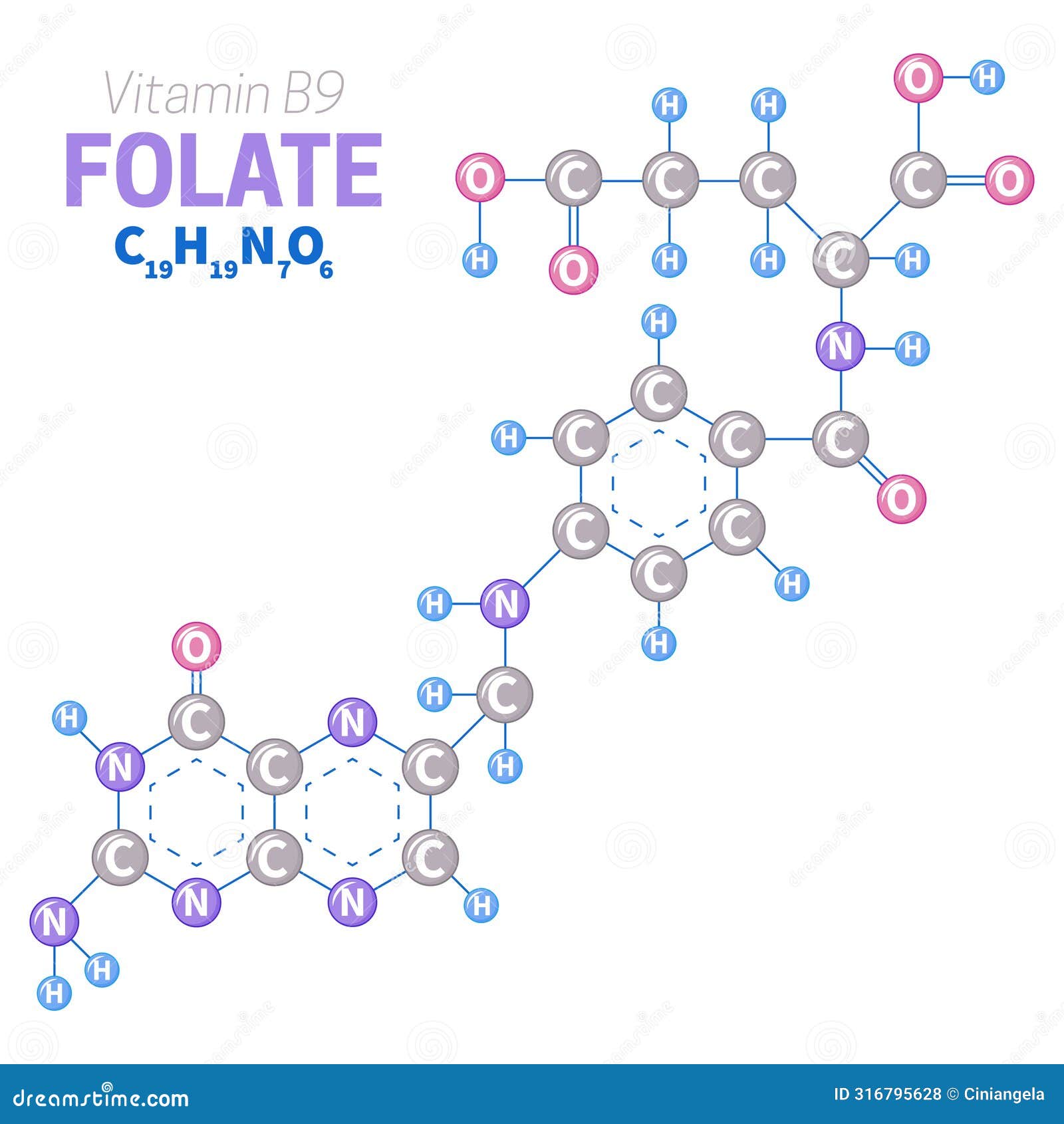 Folate or Vitamin B9 Molecule Structure Illustration Stock Vector ...