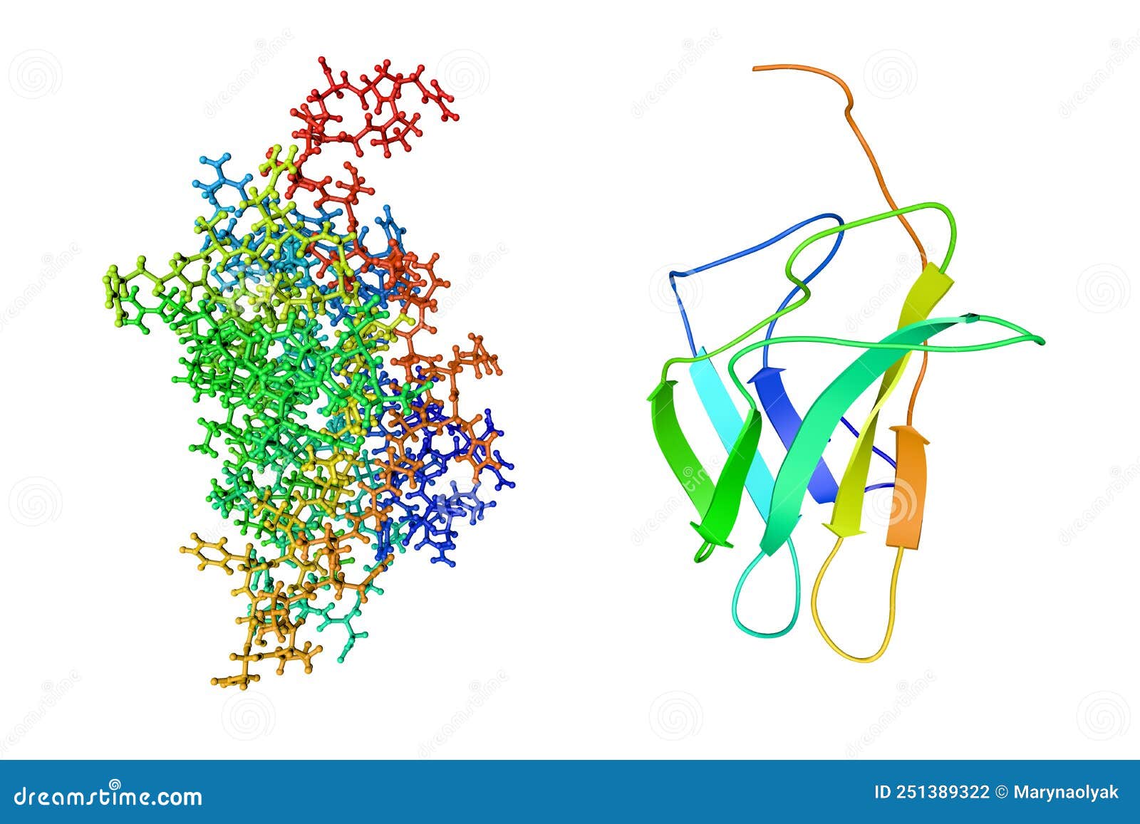 Fold of the Core Binding Factor Alpha. Crystal Structure and Molecular ...