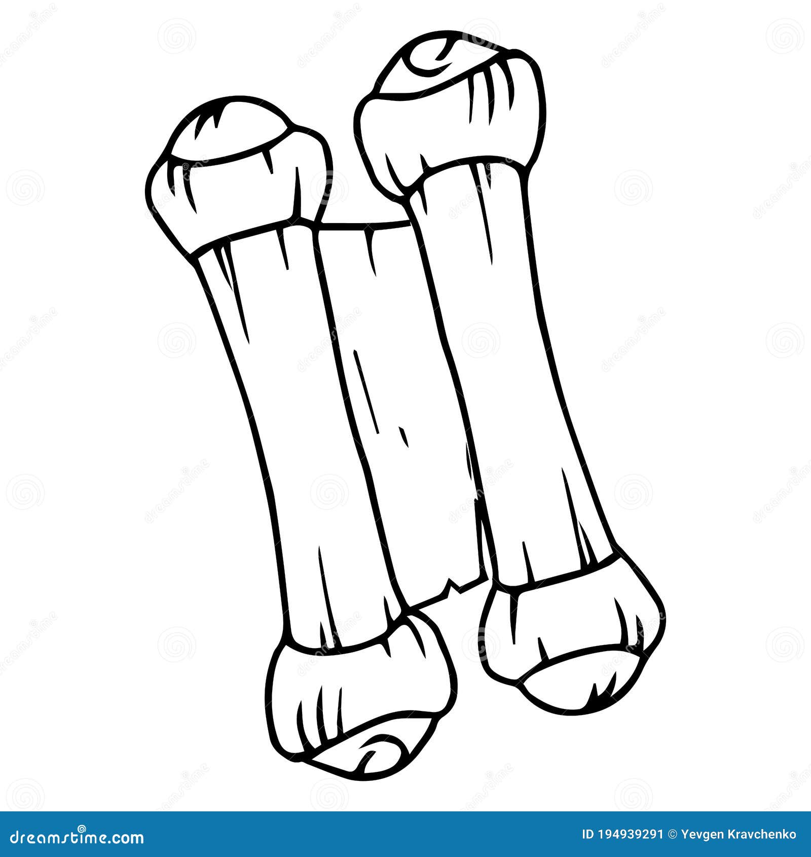 Scroll. Folded Ancient Scroll. Old Parchment. Hand Drawn Intage Paper ...