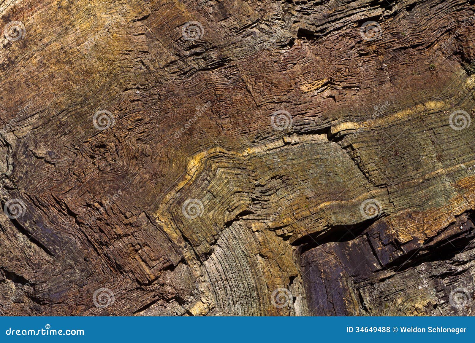 A Sedimentary Chert Rock In The Hand Royalty-Free Stock Photo ...