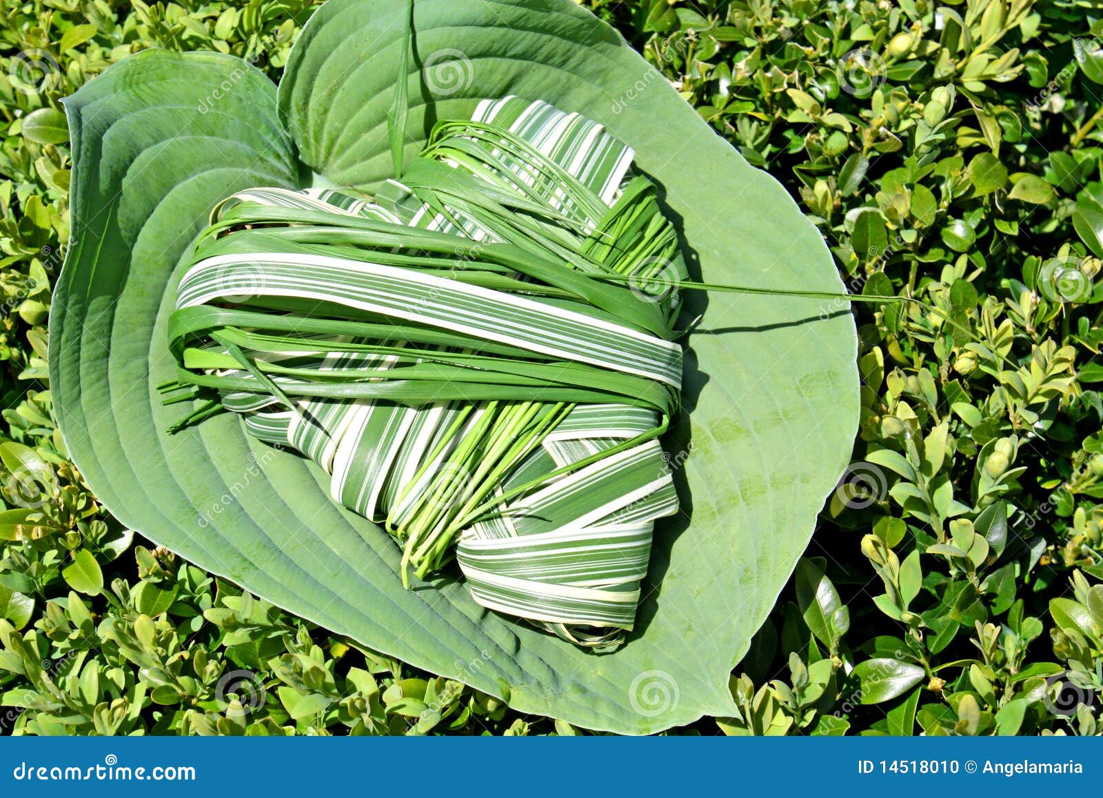 Folded Grass in Shape of Heart Stock Photo - Image of romantic, nature ...