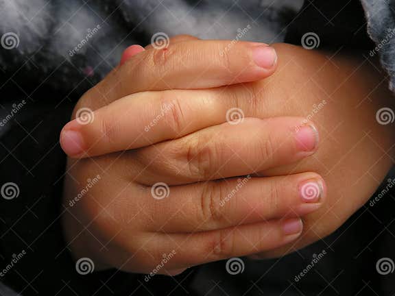Folded hands stock image. Image of religion, cute, child - 399665