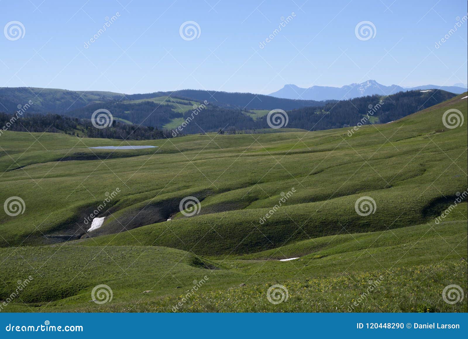 Folded Hills in the Gravelly Range Stock Photo - Image of meadow, range ...