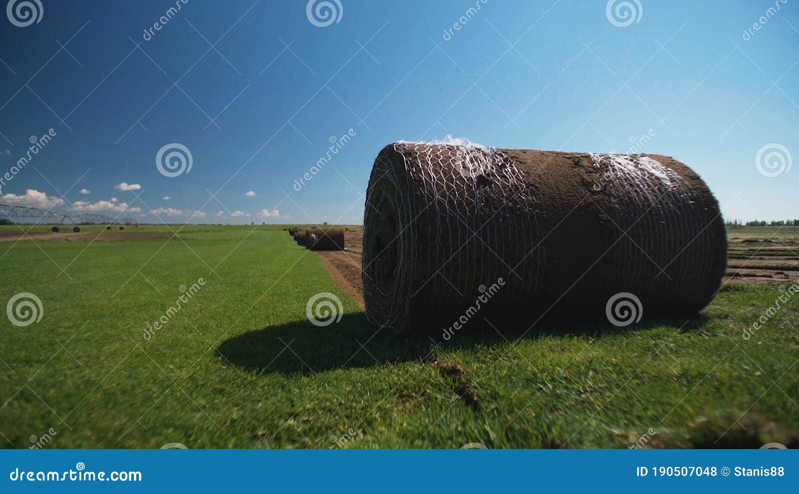 Folded Lawn Lay on the Field. Roll Lawn on Field Stock Photo - Image of ...